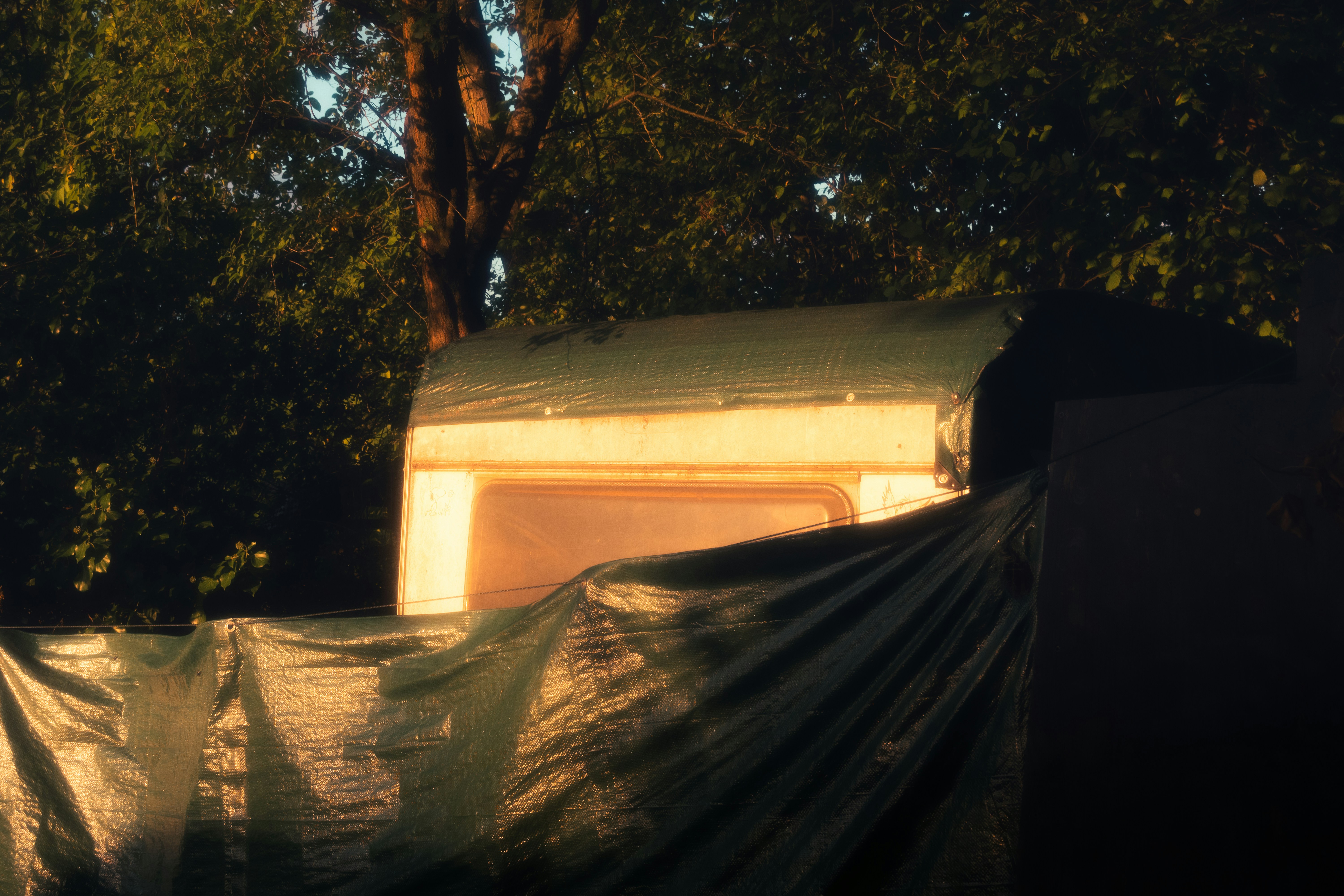 Sunlit Shelter: A Weathered Trailer Hidden Behind Tarp in Dusk