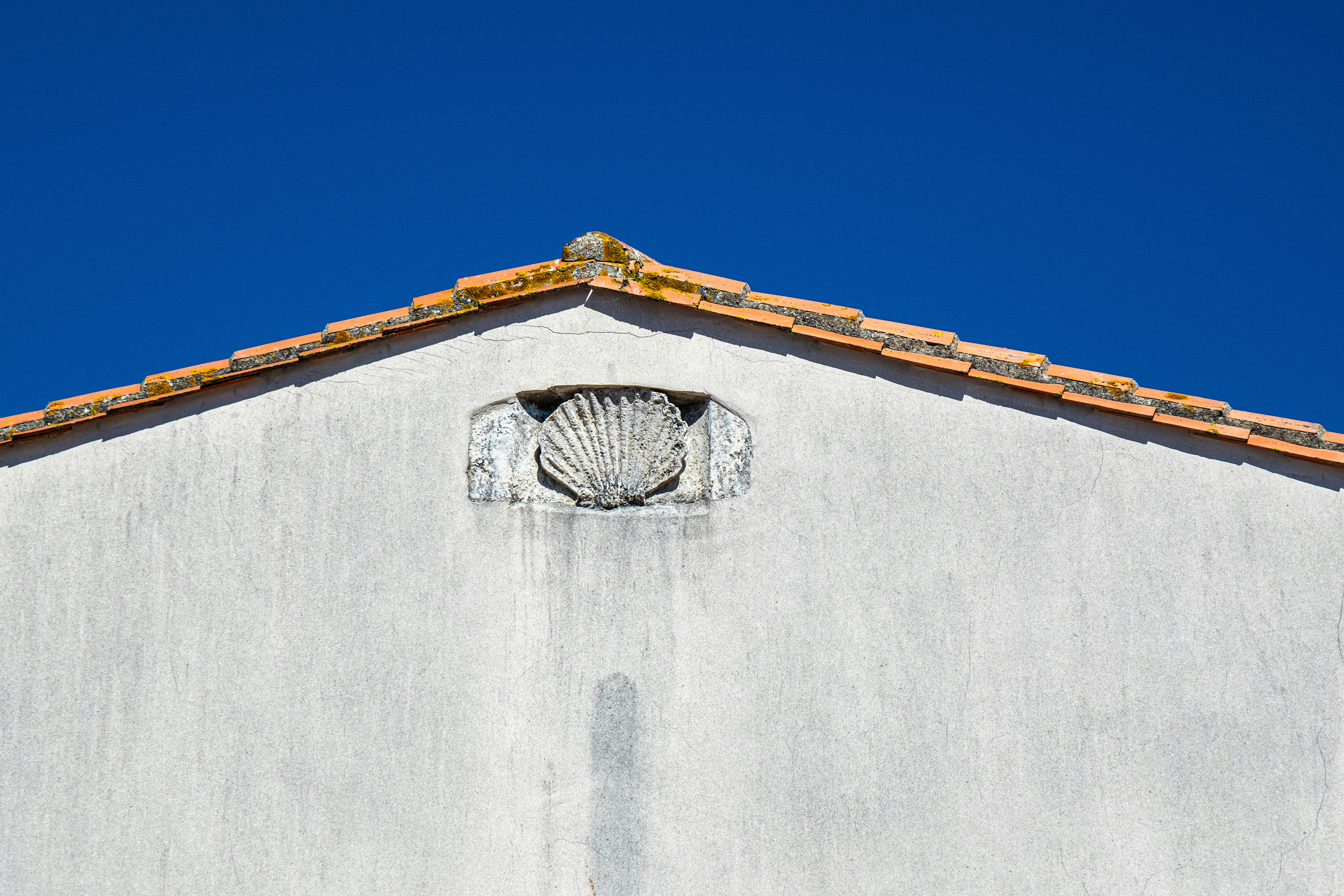 Shell Motif on a Quiet White Facade