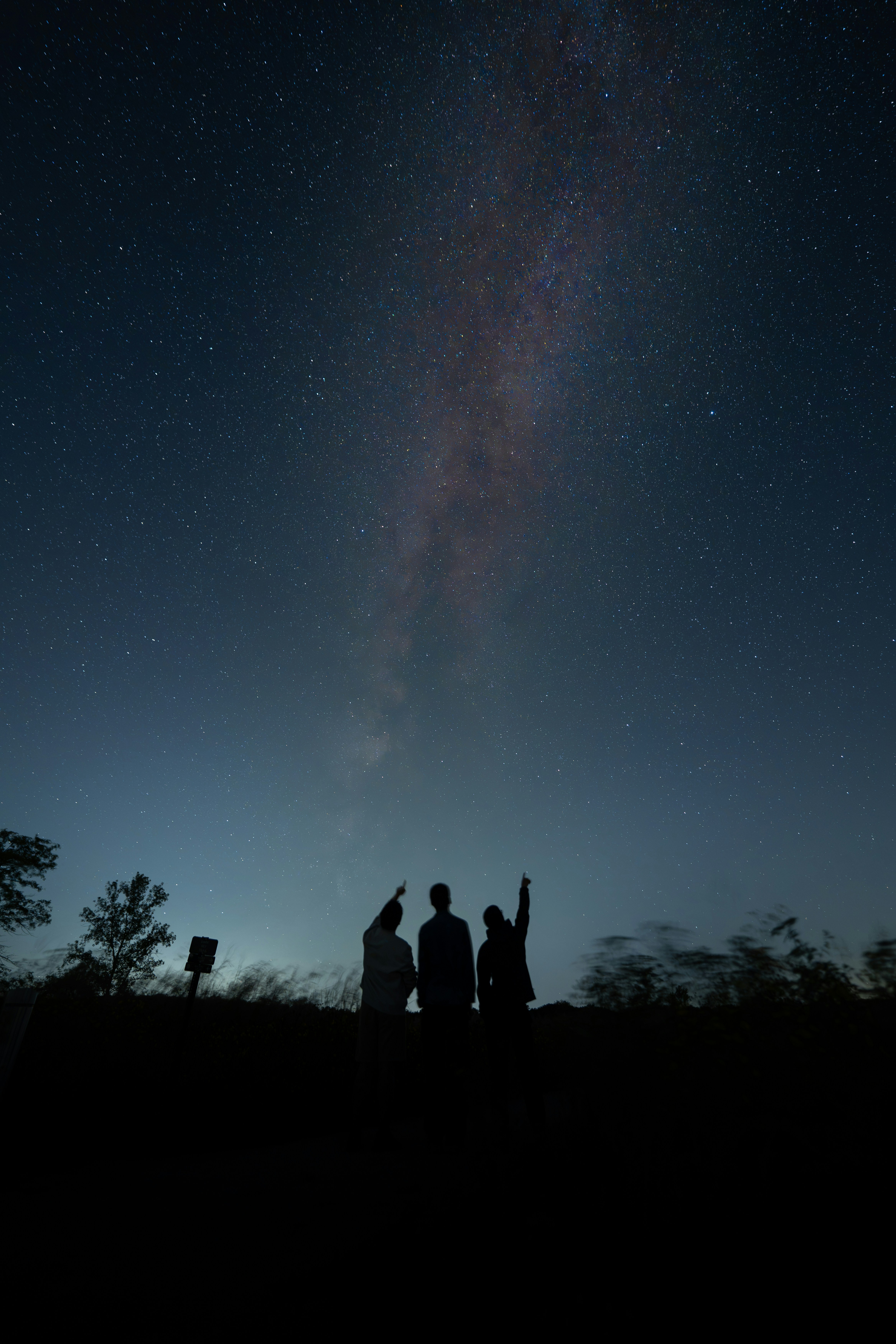Silhouette Chorus Under the Milky Way