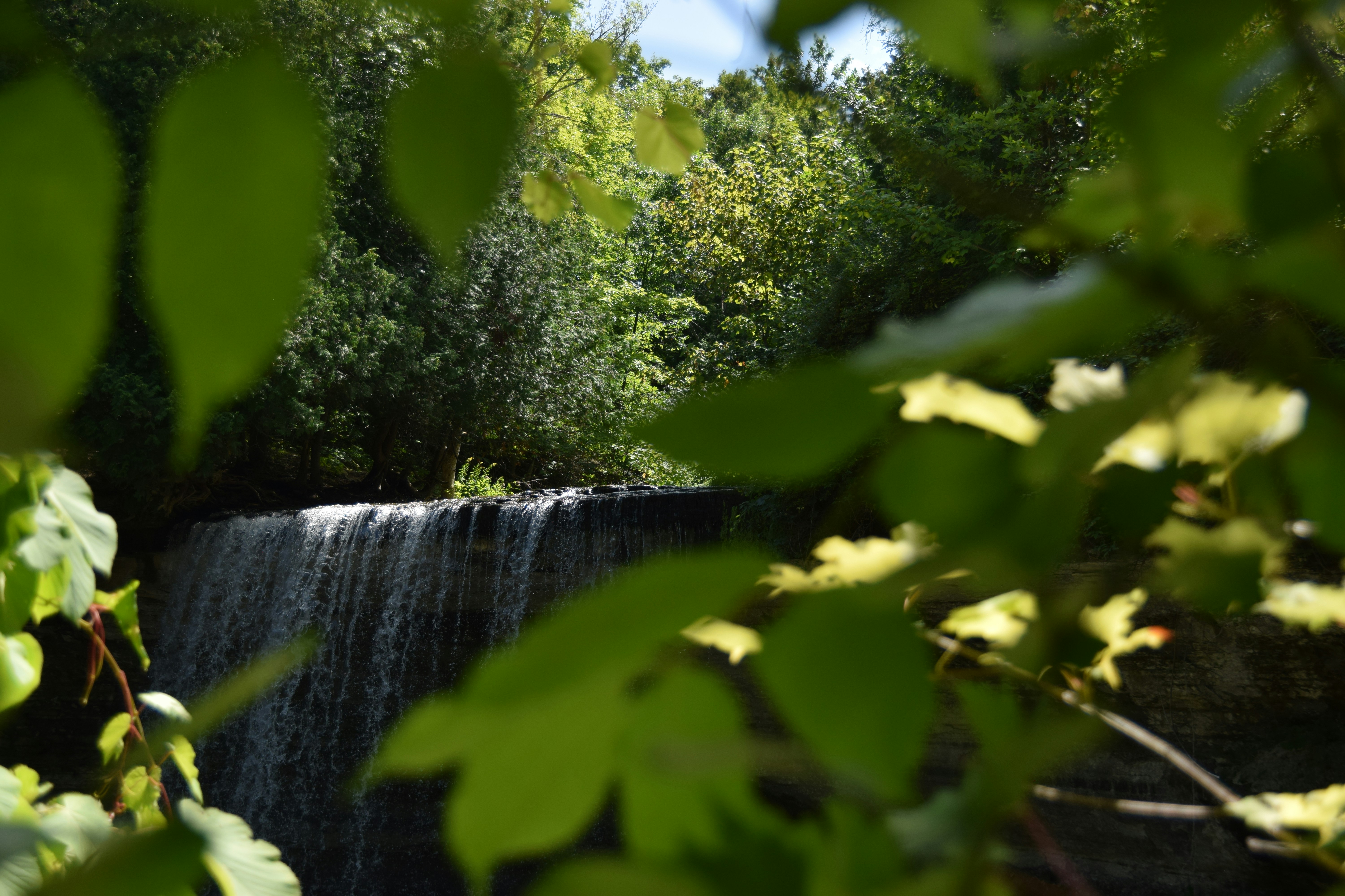 Hidden Cascade Through Framing Leaves
