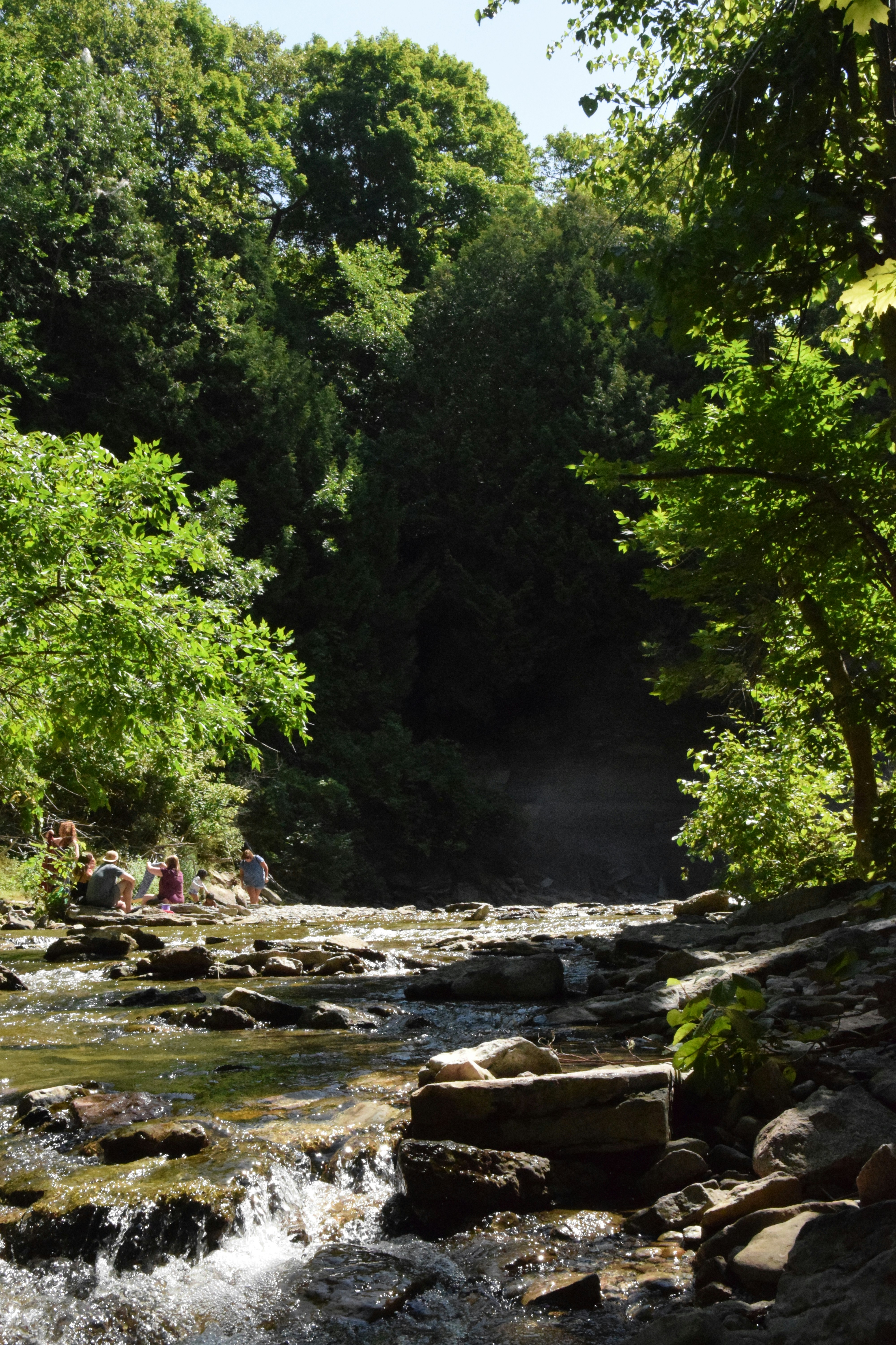 Riverbank Revelry: Sunlit Gatherers by the Cascading Stream