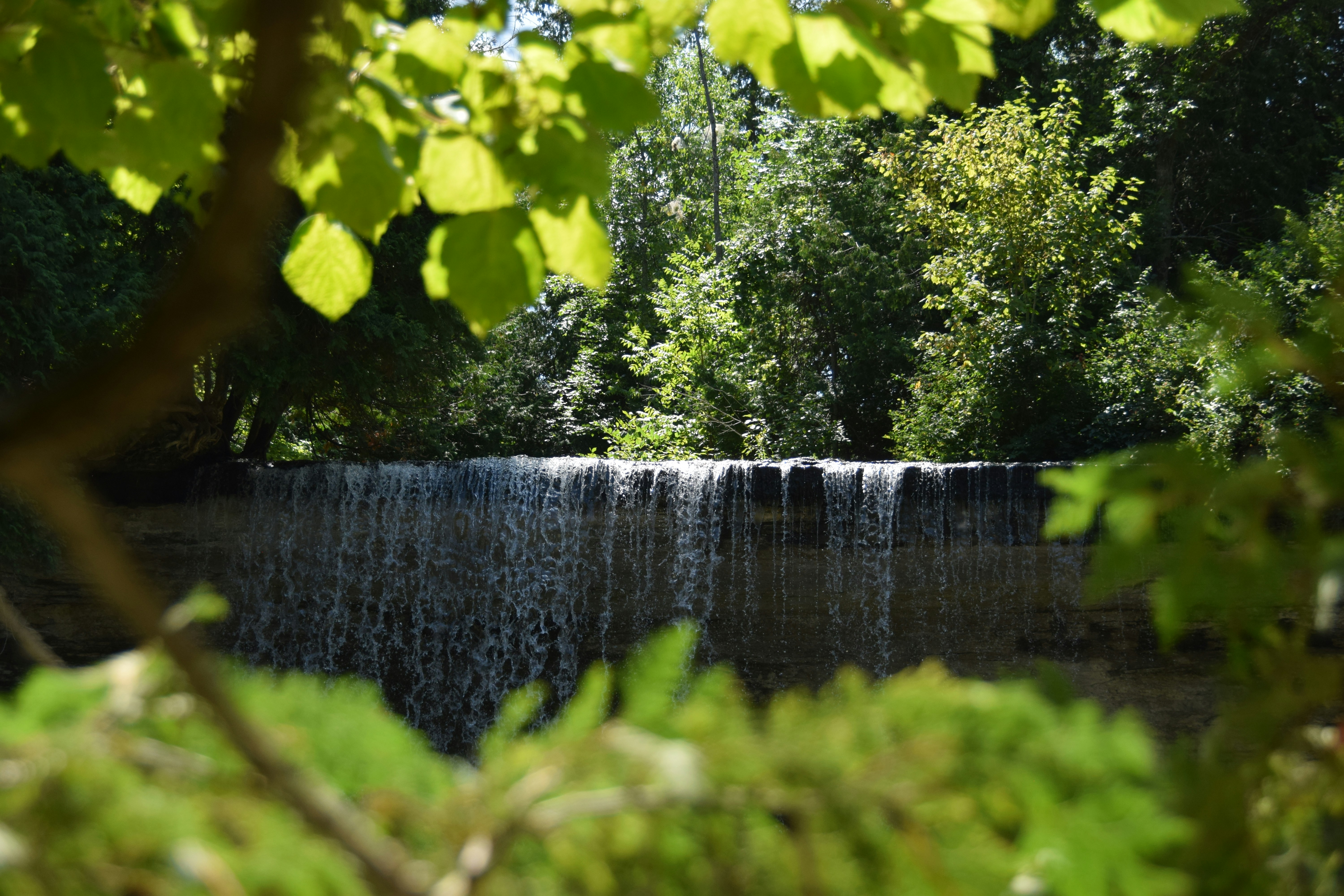 Hidden Cascade Framed by Green Canopy