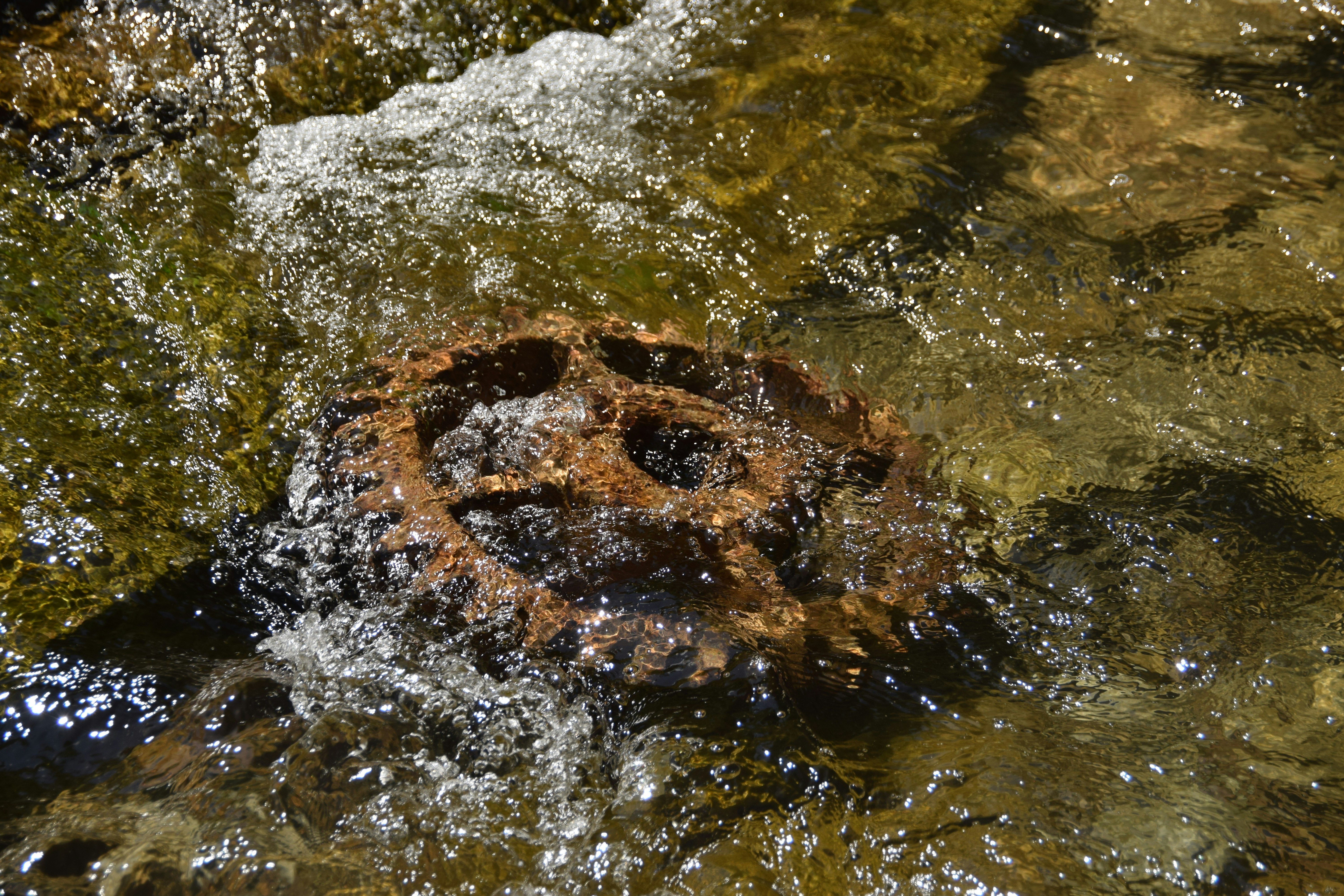 Rising Wheel of Water: A rusty gear submerged in a shallow stream