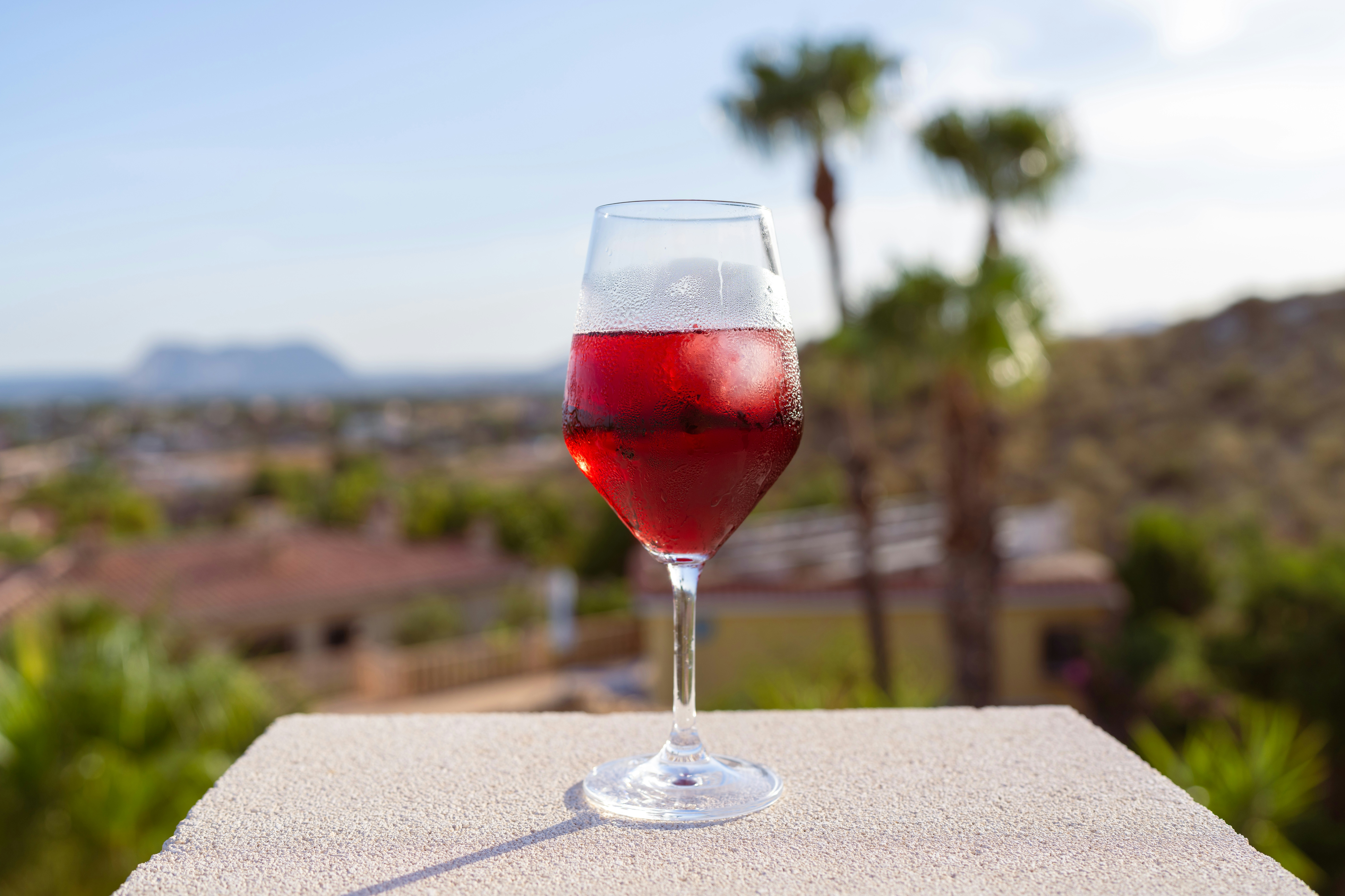 Crimson Sip on a Sunny Terrace