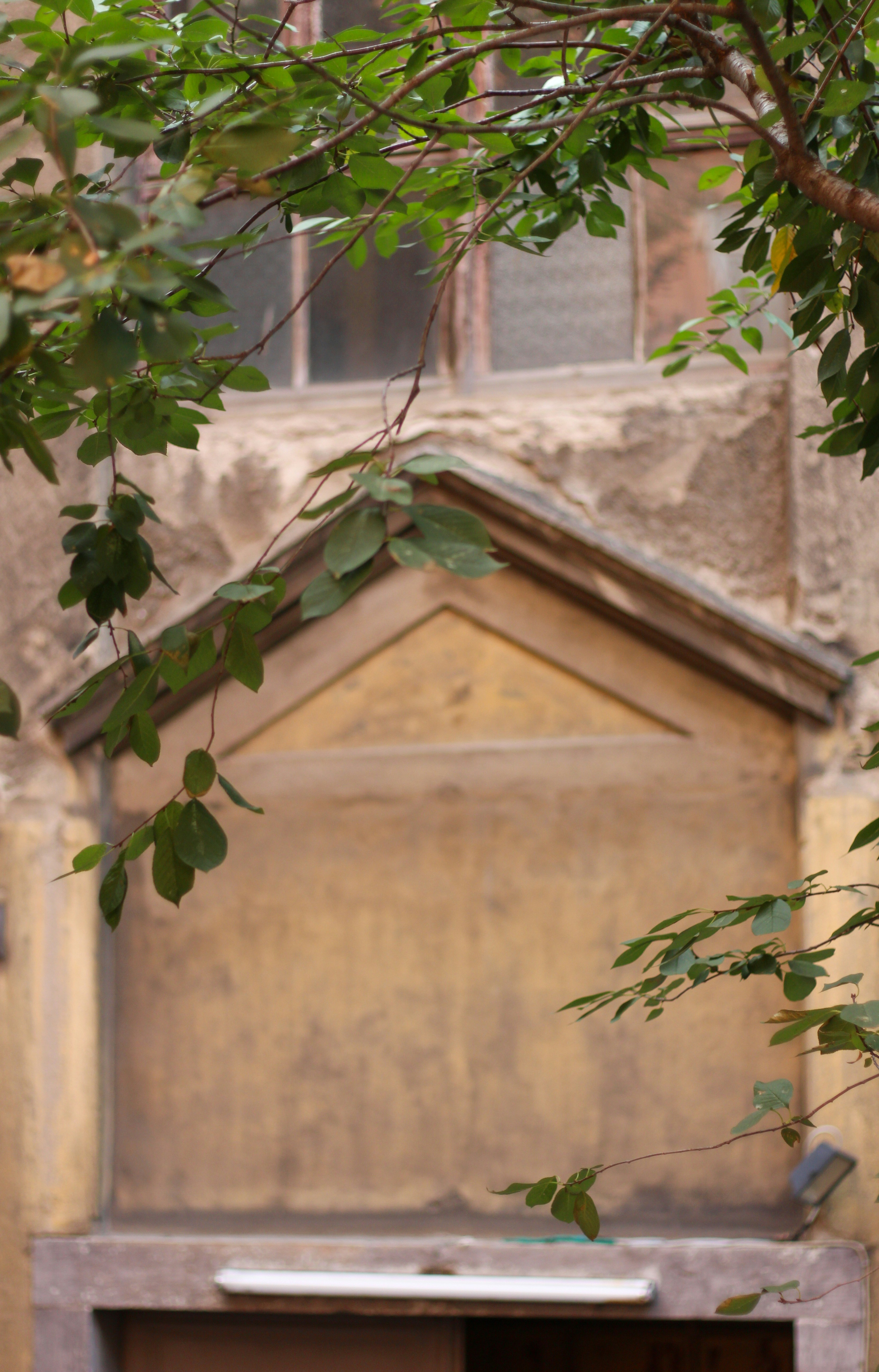 Photo by Nagihan Gülmez with Canon EOS 650D