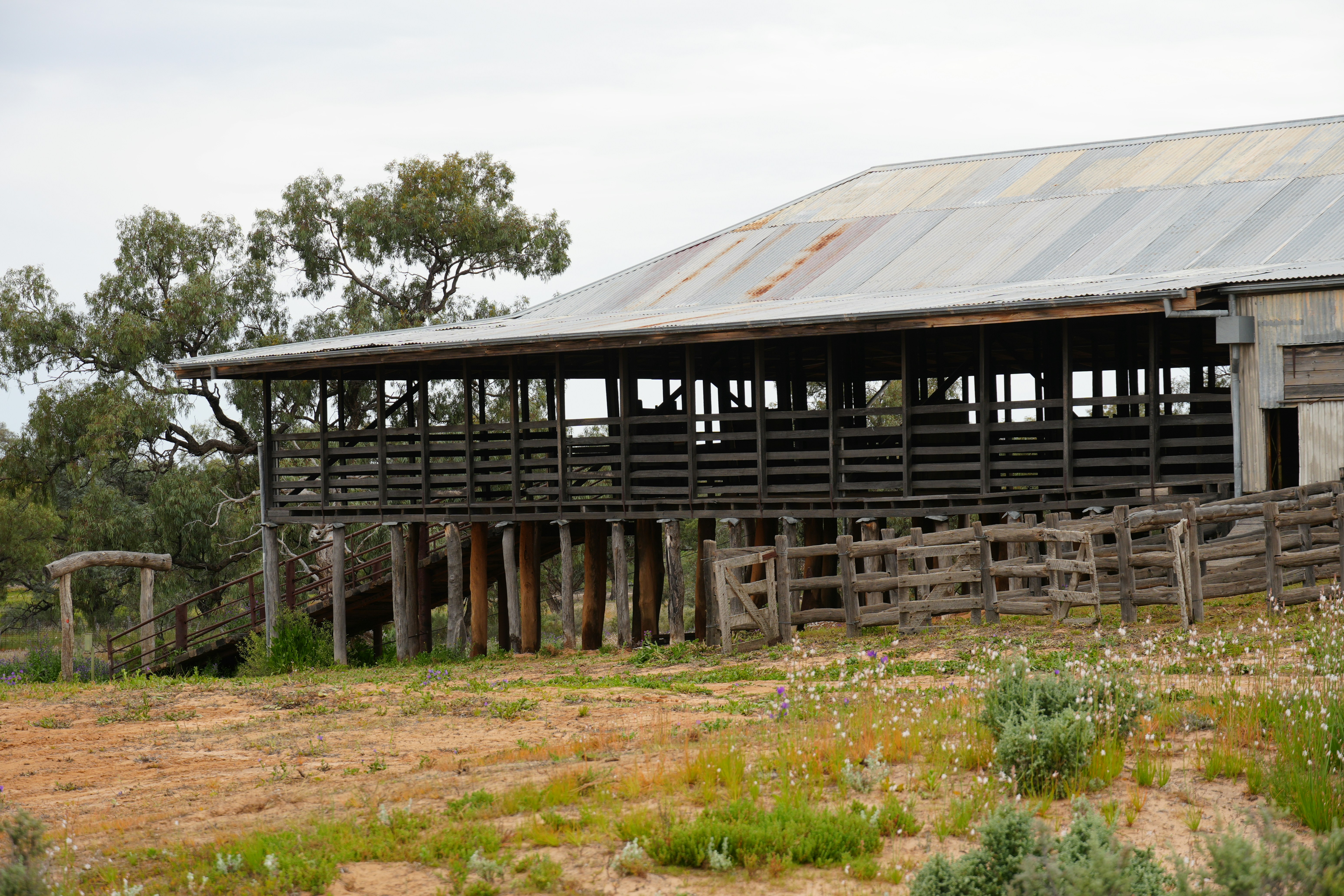 Sun-bleached Barn Overlooked by Sagebrush Pasture