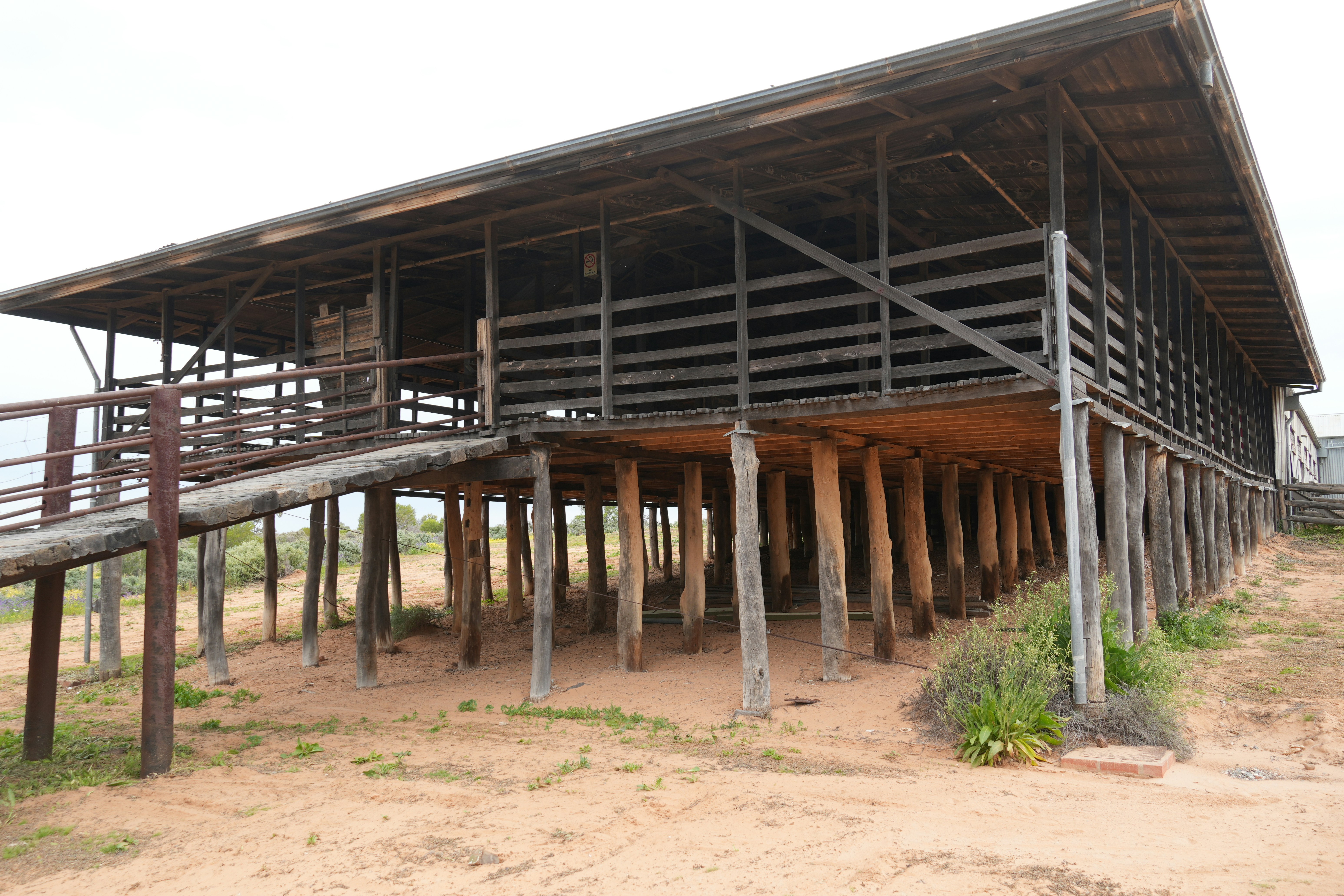 Stilted Shelter Over Sand and Grass