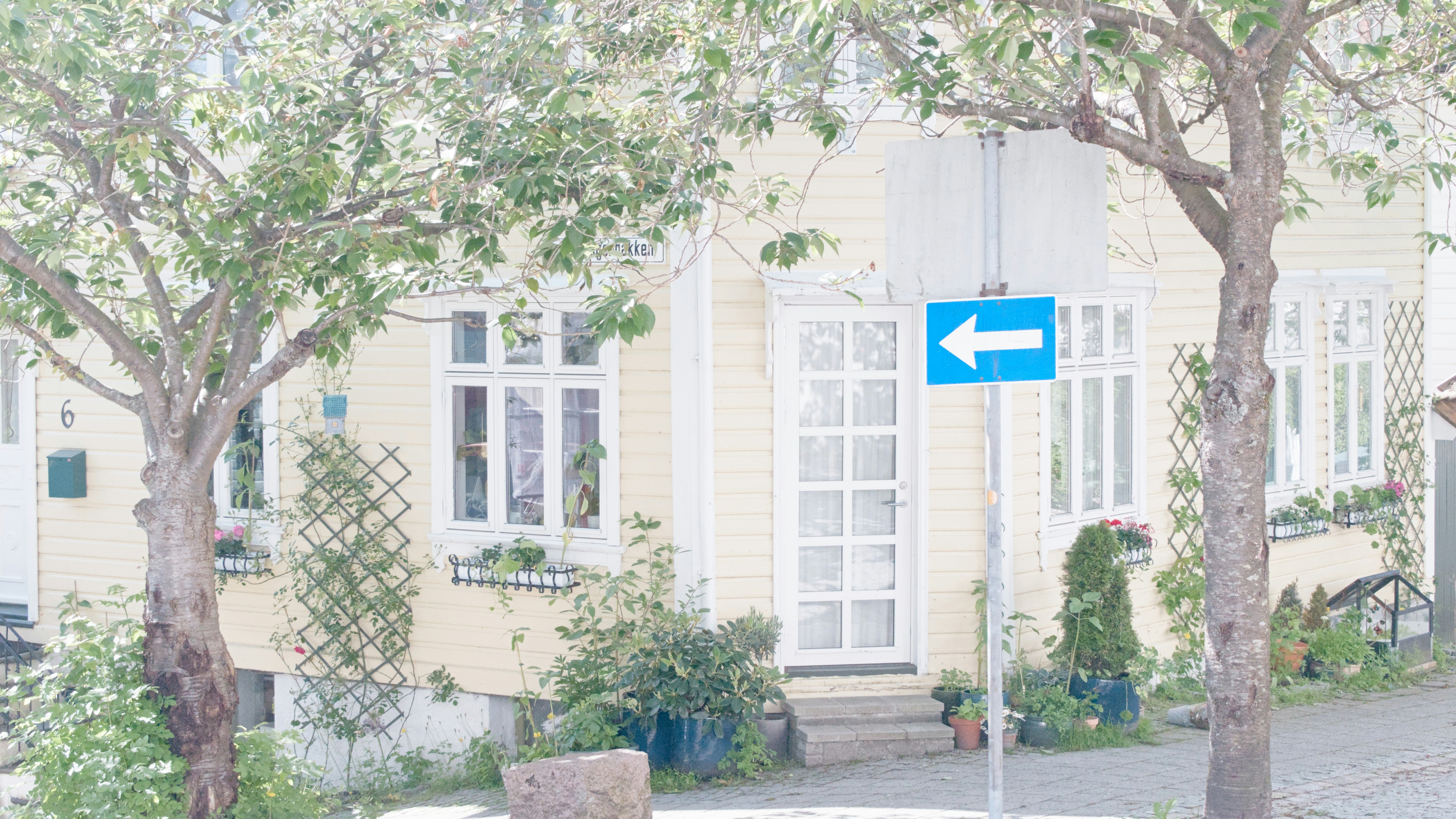 Pastel yellow townhouse with white-framed windows and potted plants along a narrow street; a blue one-way sign stands beside a door, hinting at a quiet residential alley.