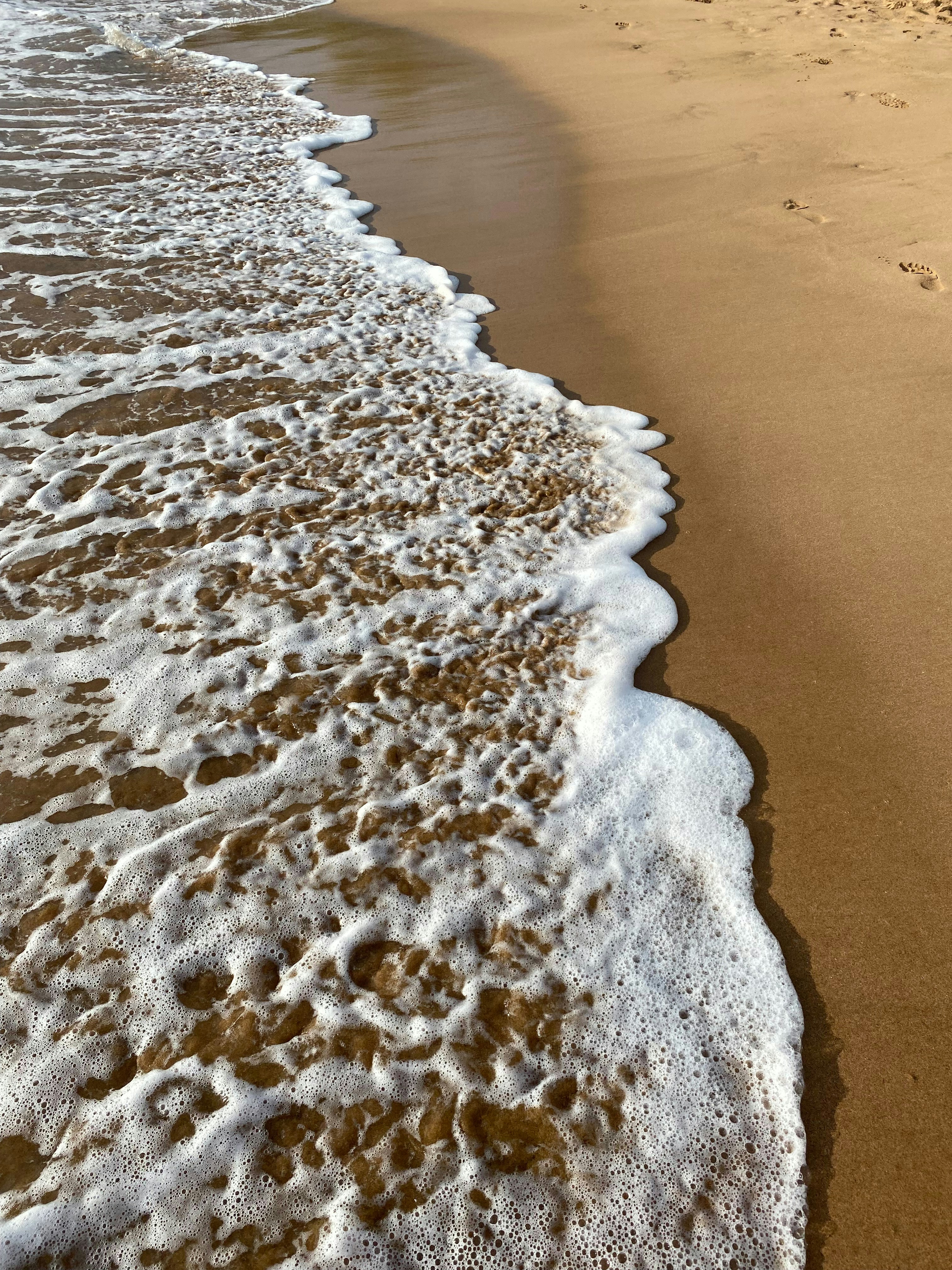 Foamy Edge: A Quiet Confluence Where Sea Meets Sand