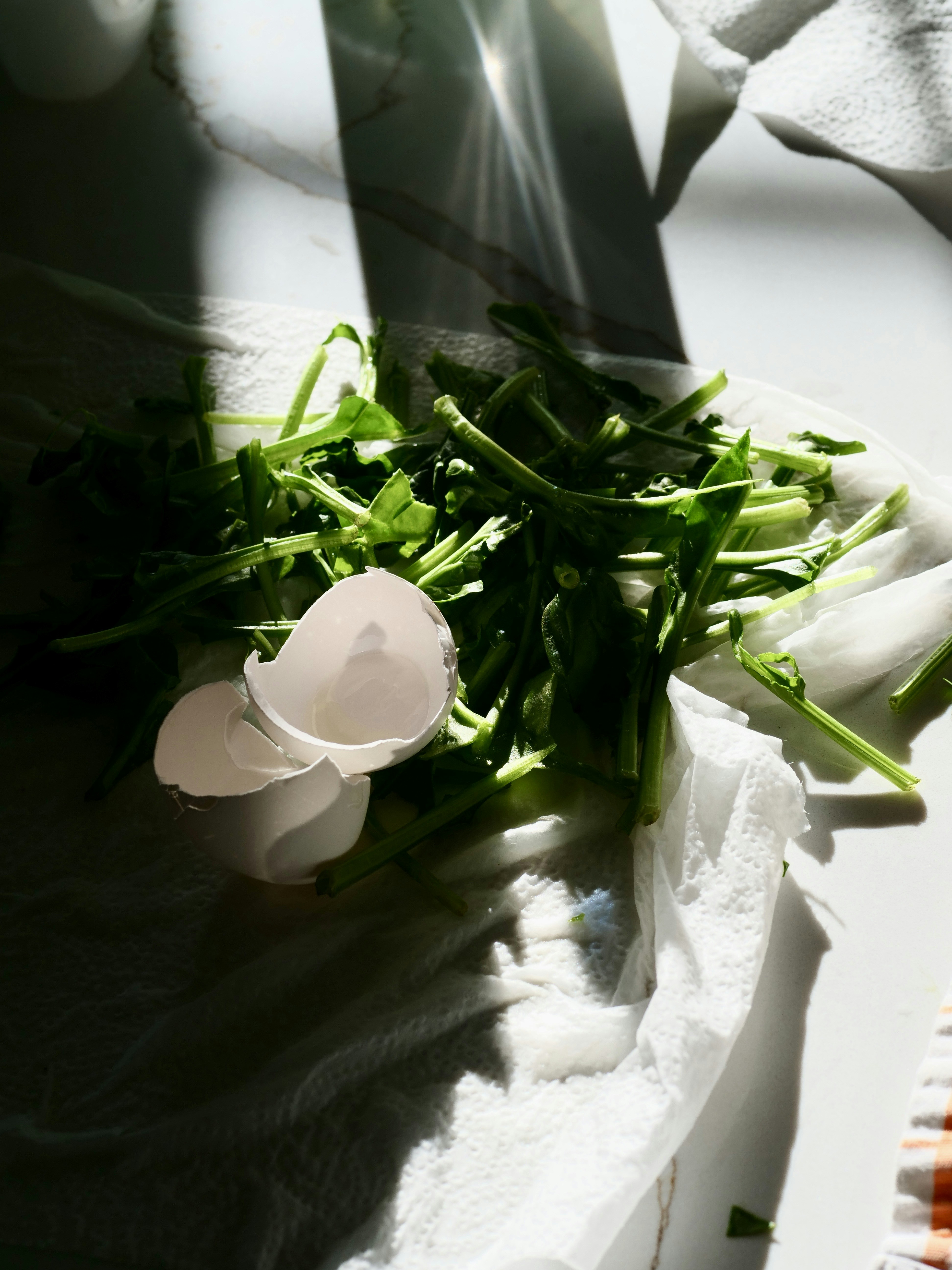 Egg shells and spinach pieces