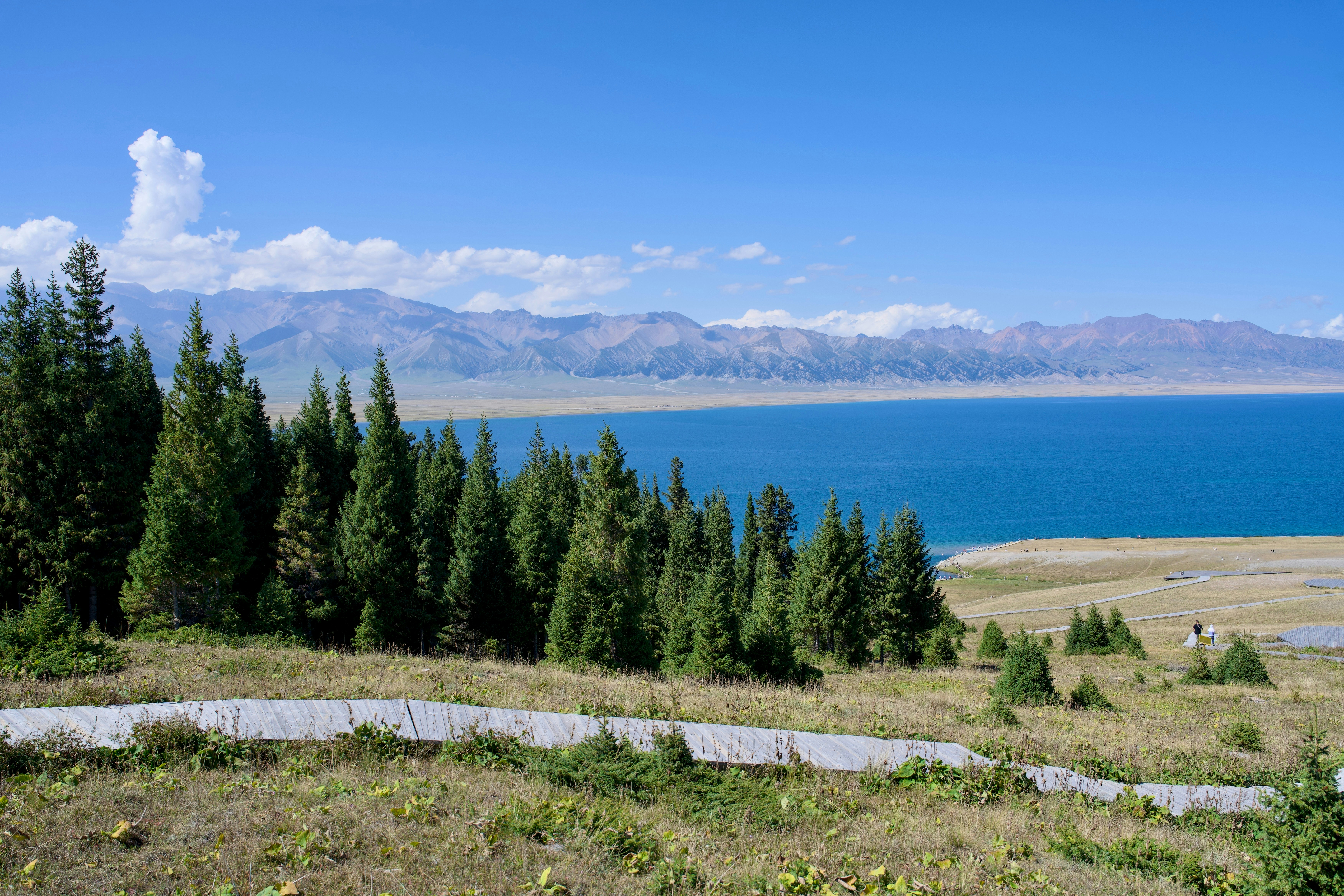 Lush evergreen trees frame a calm blue lake with distant mountains under a clear sky, capturing a serene high-desert landscape. This landscape emphasizes the contrast between green foreground and expansive water and sky; a natural vista with hints of seasonal vegetation.