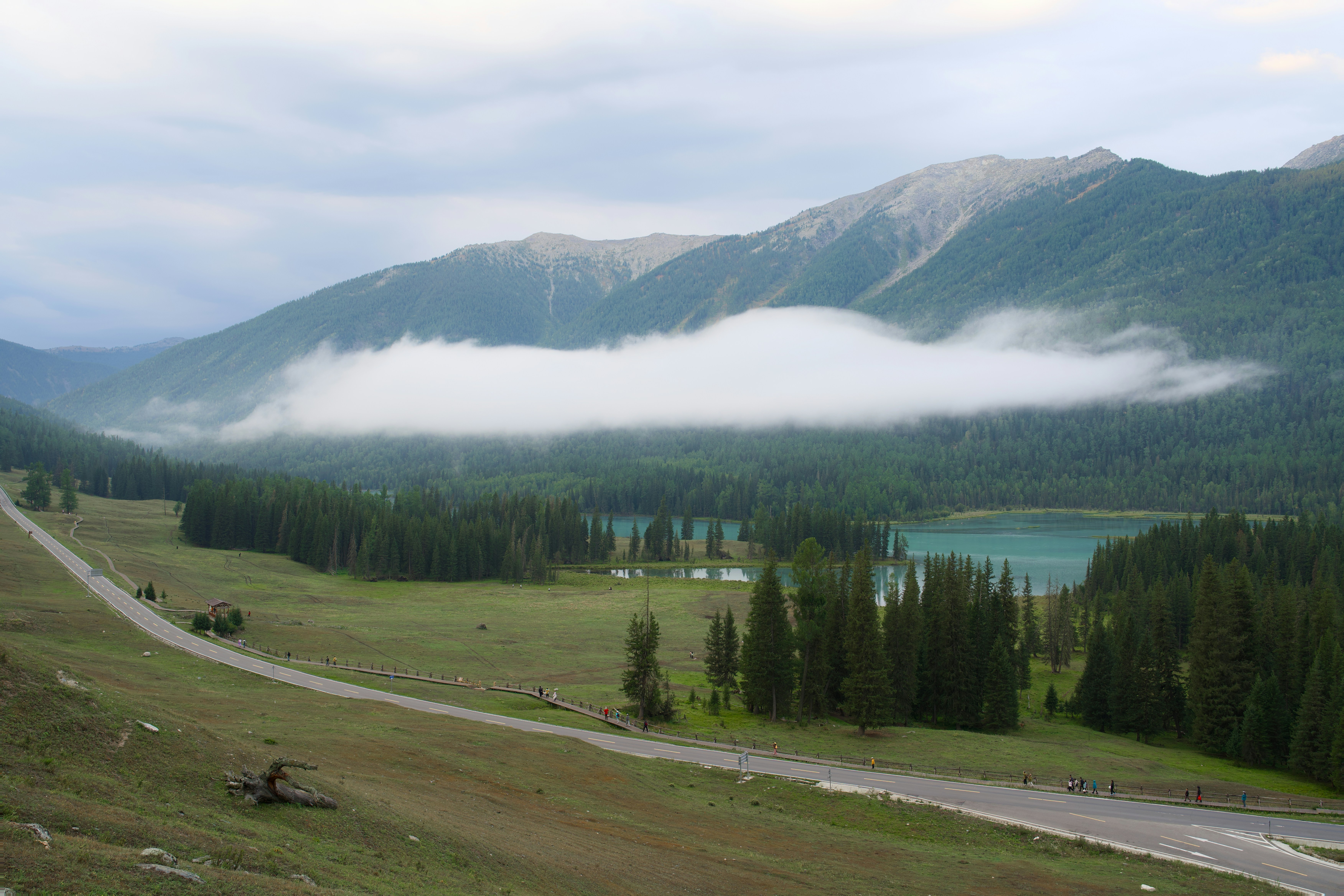 Mist-veiled Valley Overlook