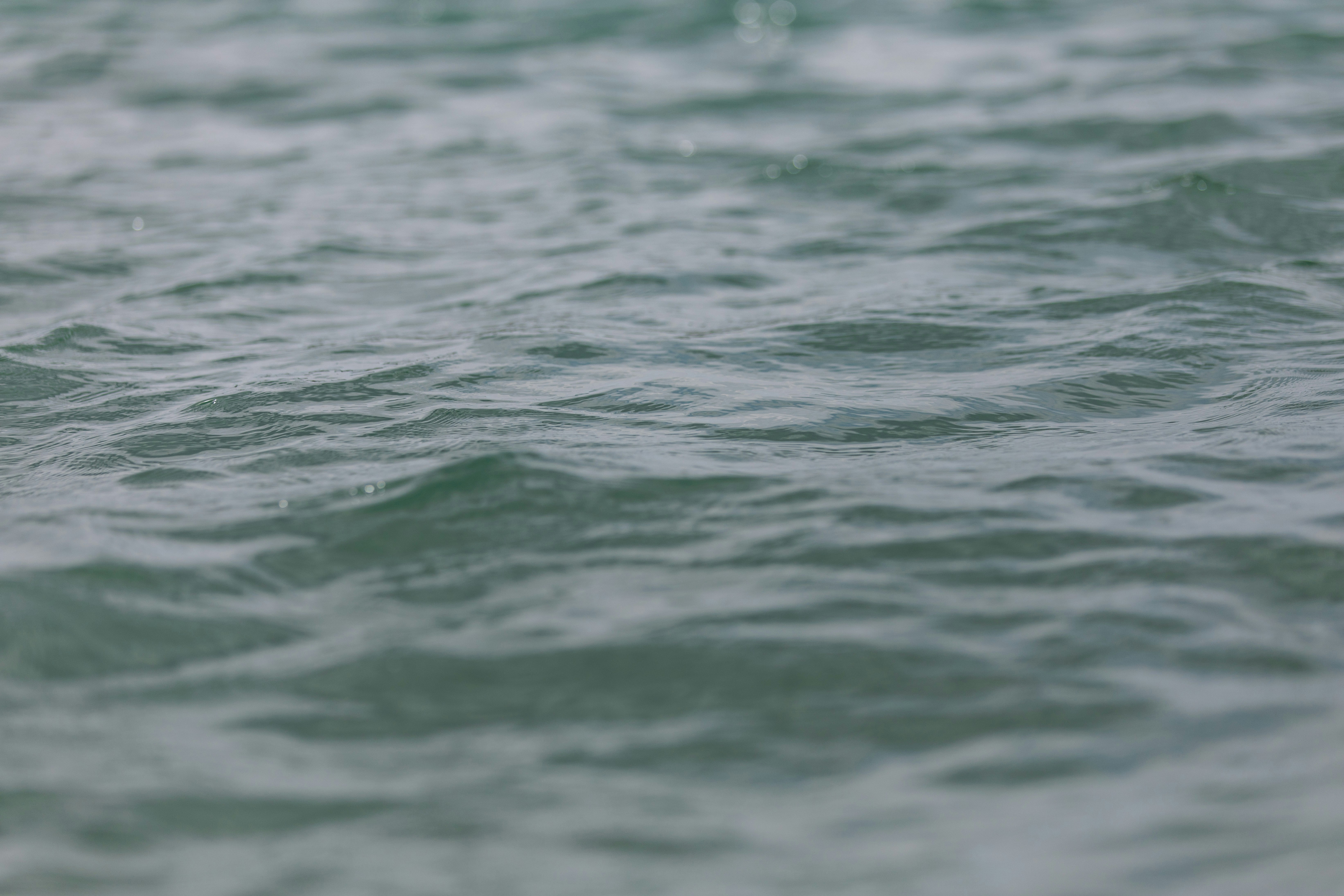 Horizon of Quiet Currents