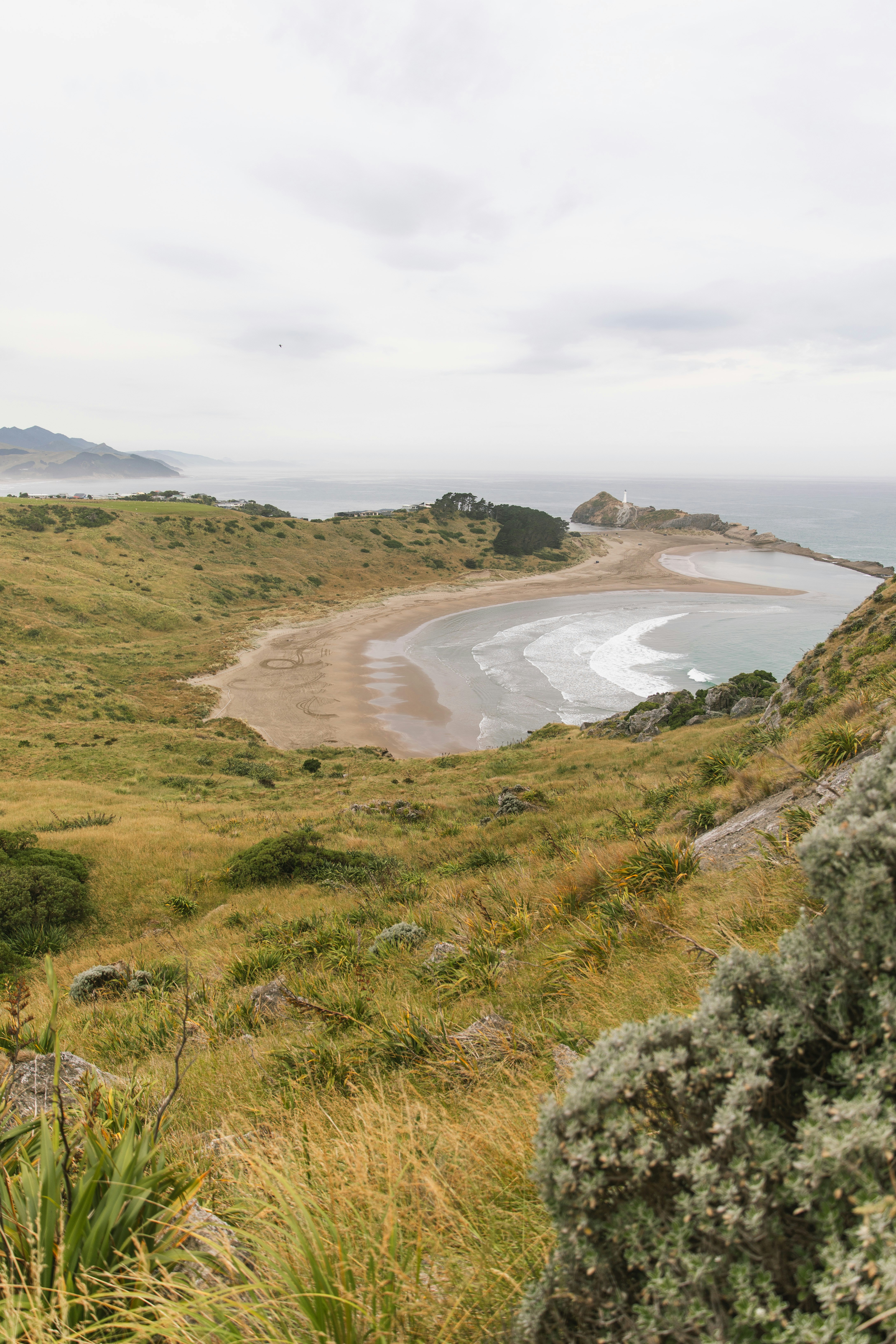Coastal Meadow Opens to a Curving Beach and Distant Headland