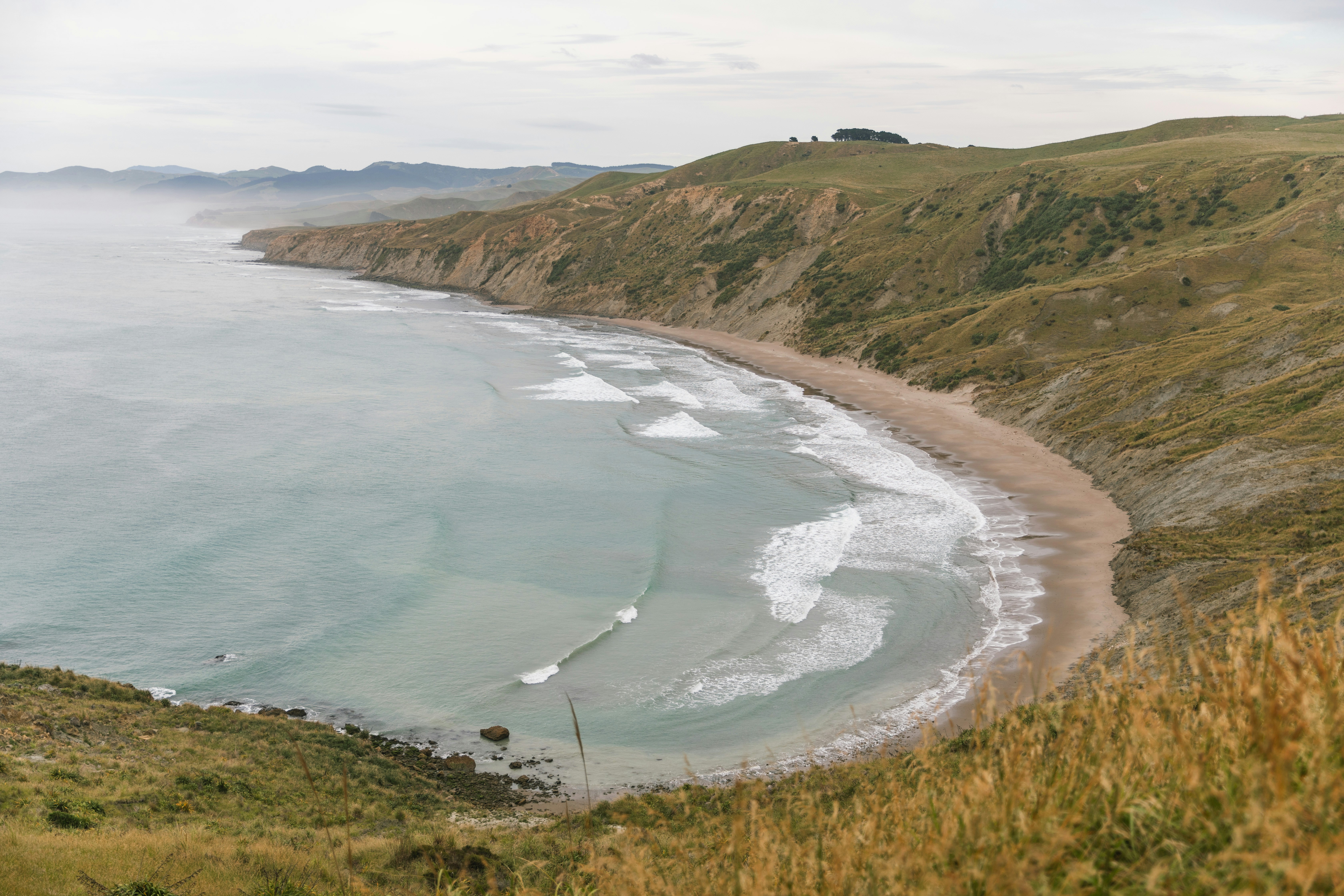 Crescent Cove: A Quiet Coastal Bend from the Hilltop