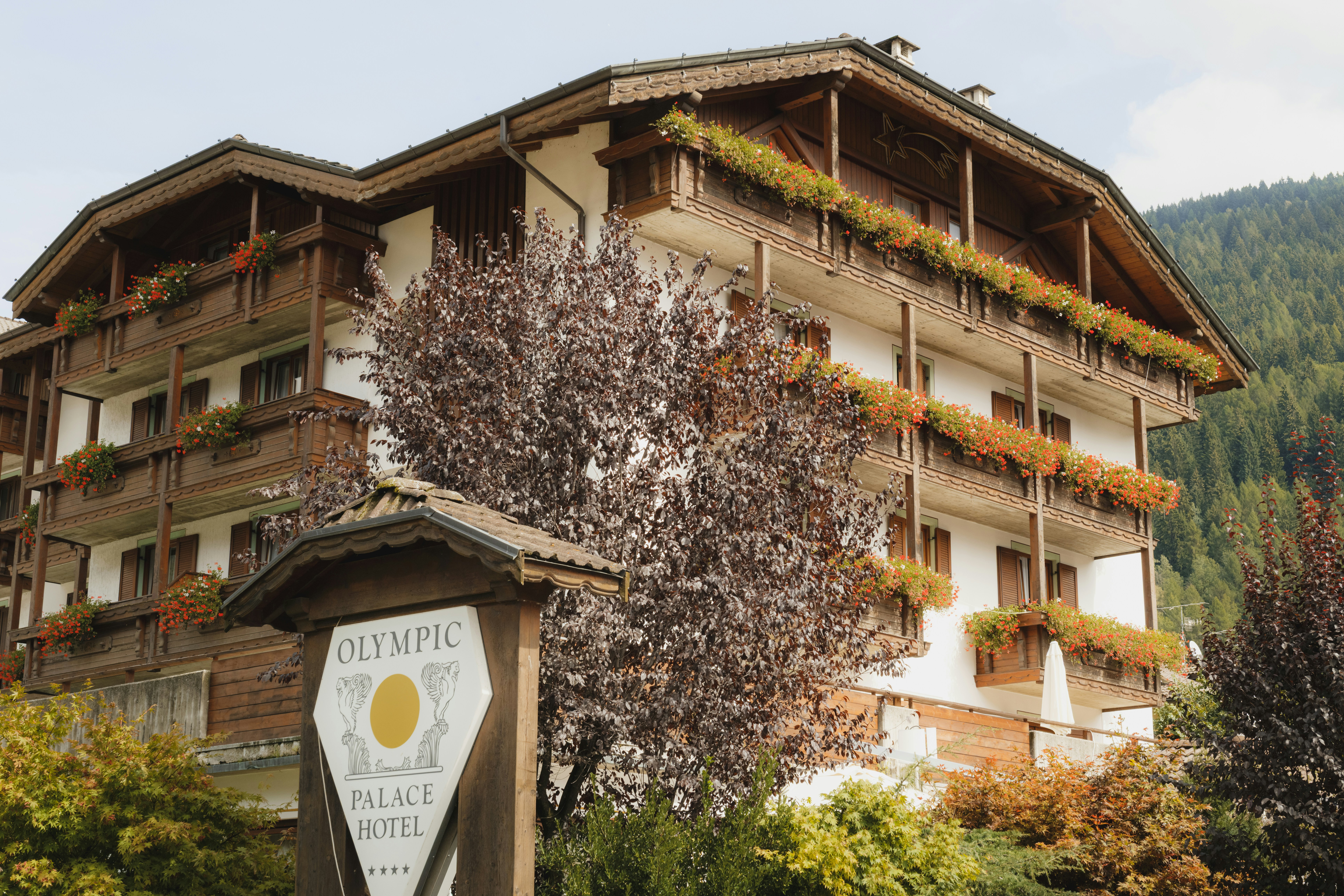 Sunlit Alpine Lodge Framed by Blossoming Flora