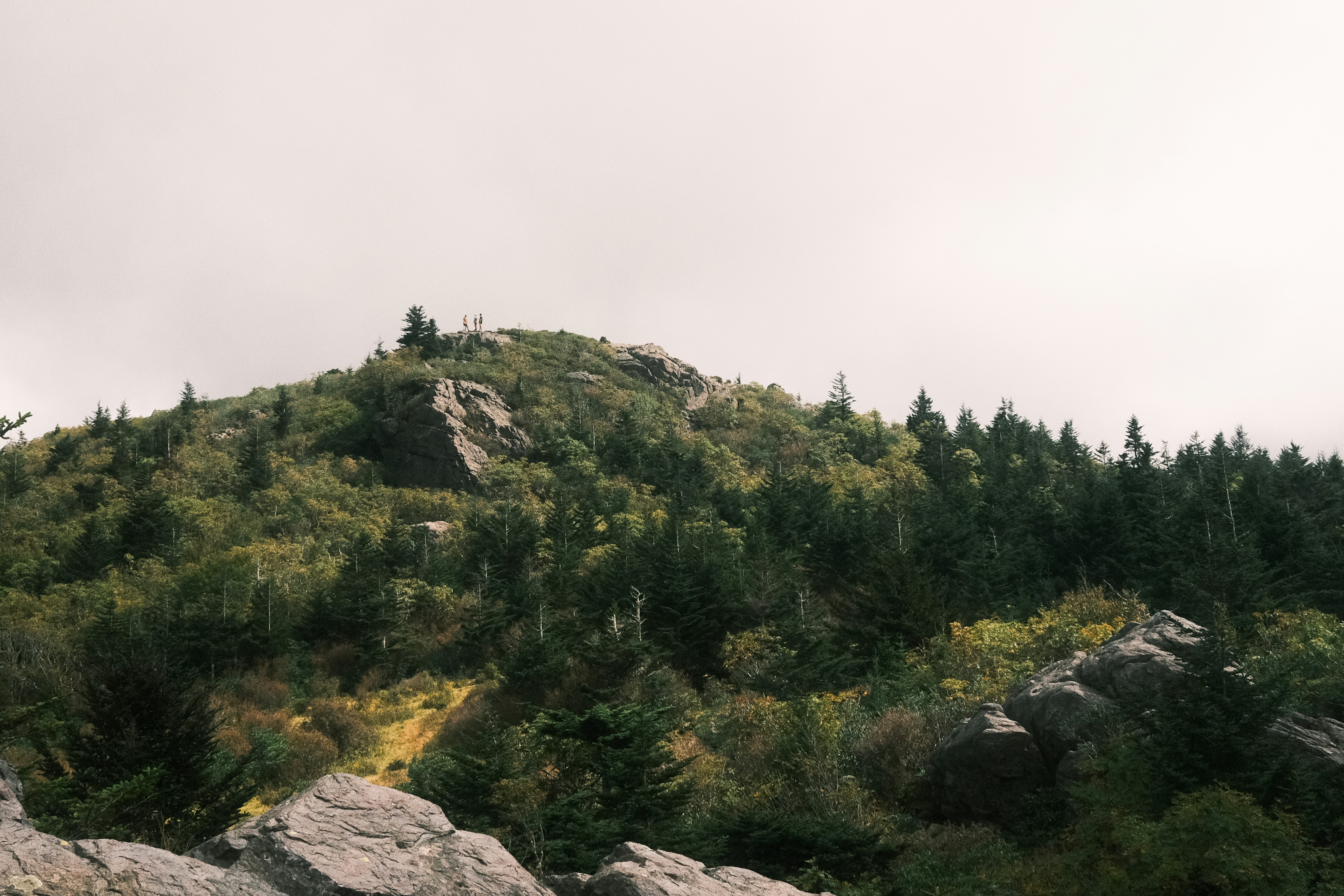 Ridgecrest Summit: Pine silhouettes and weathered rock
