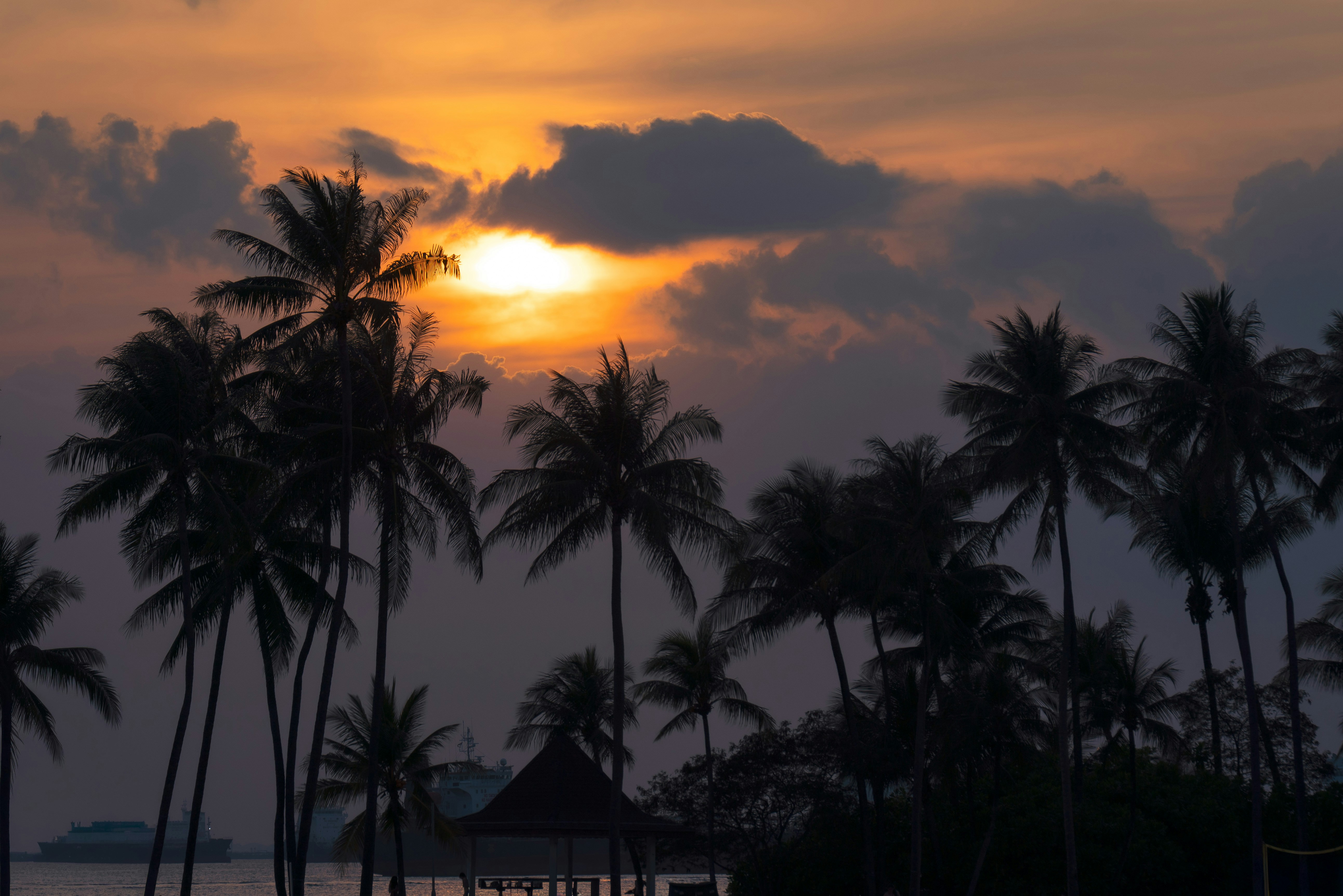 Sunlit Silhouettes: Palm Trees Framing a Quiet Sunset