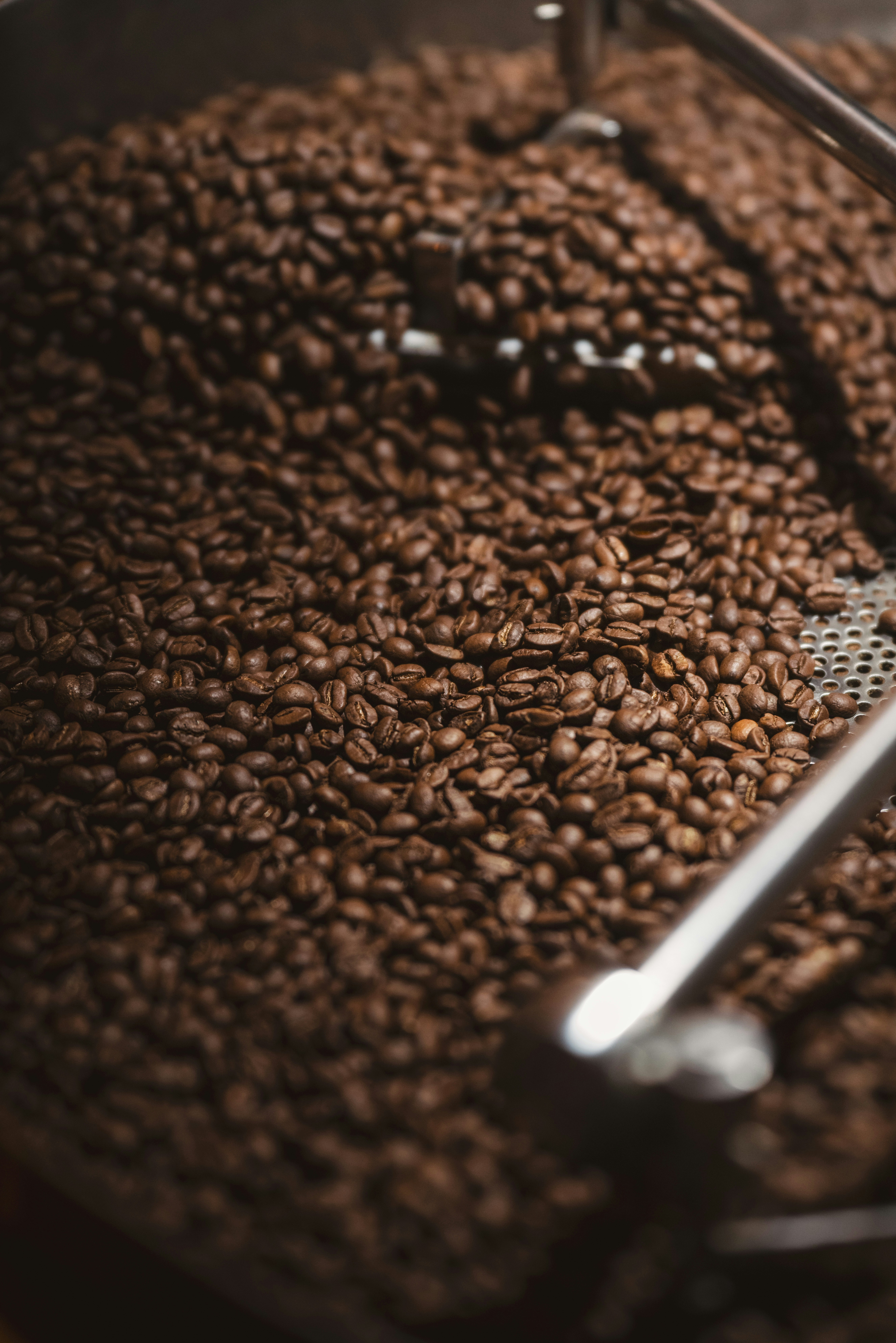 Roasted Coffee Beans in a Drum Compartment