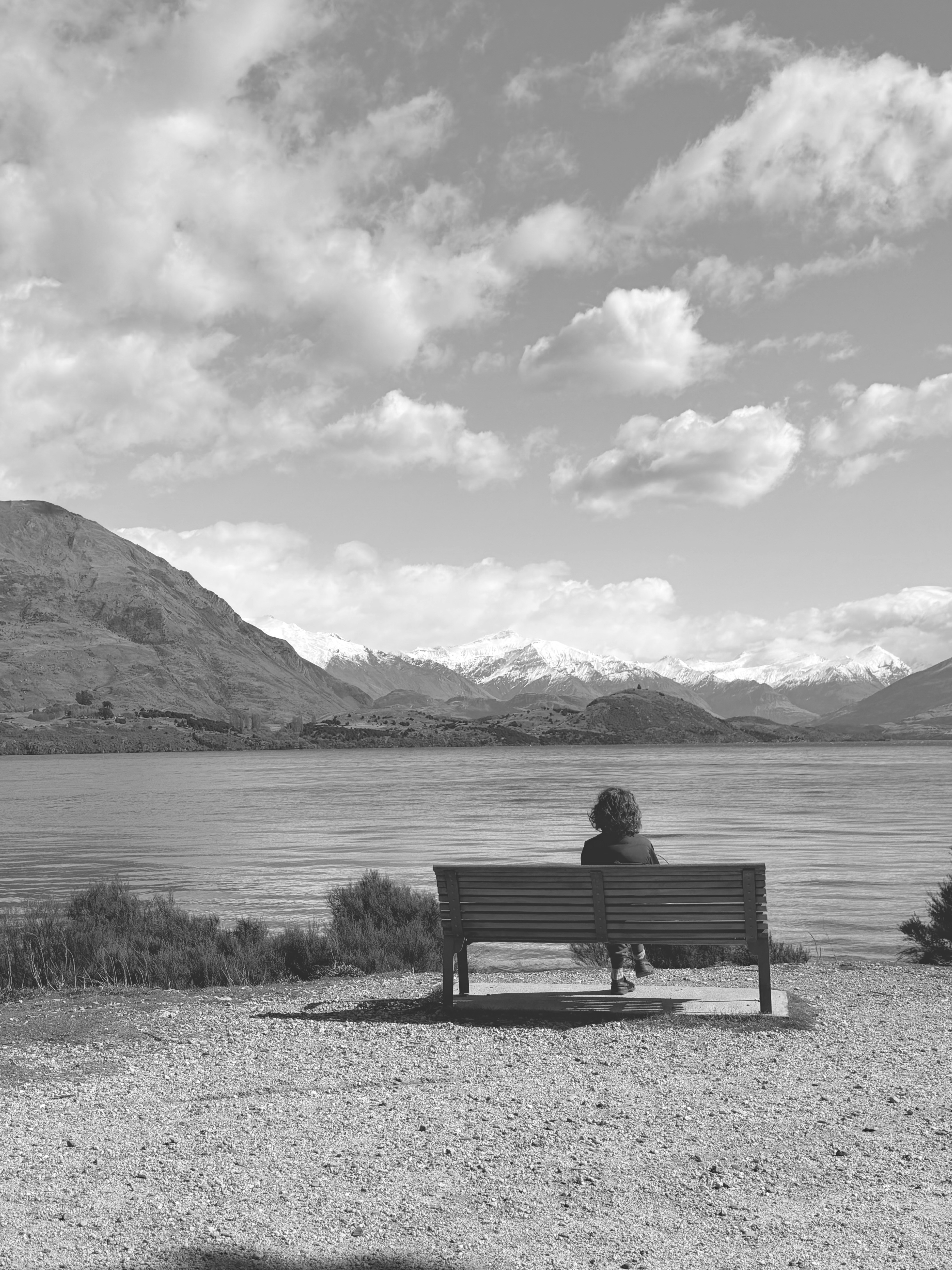 Solitude by the Serene Lake Bench