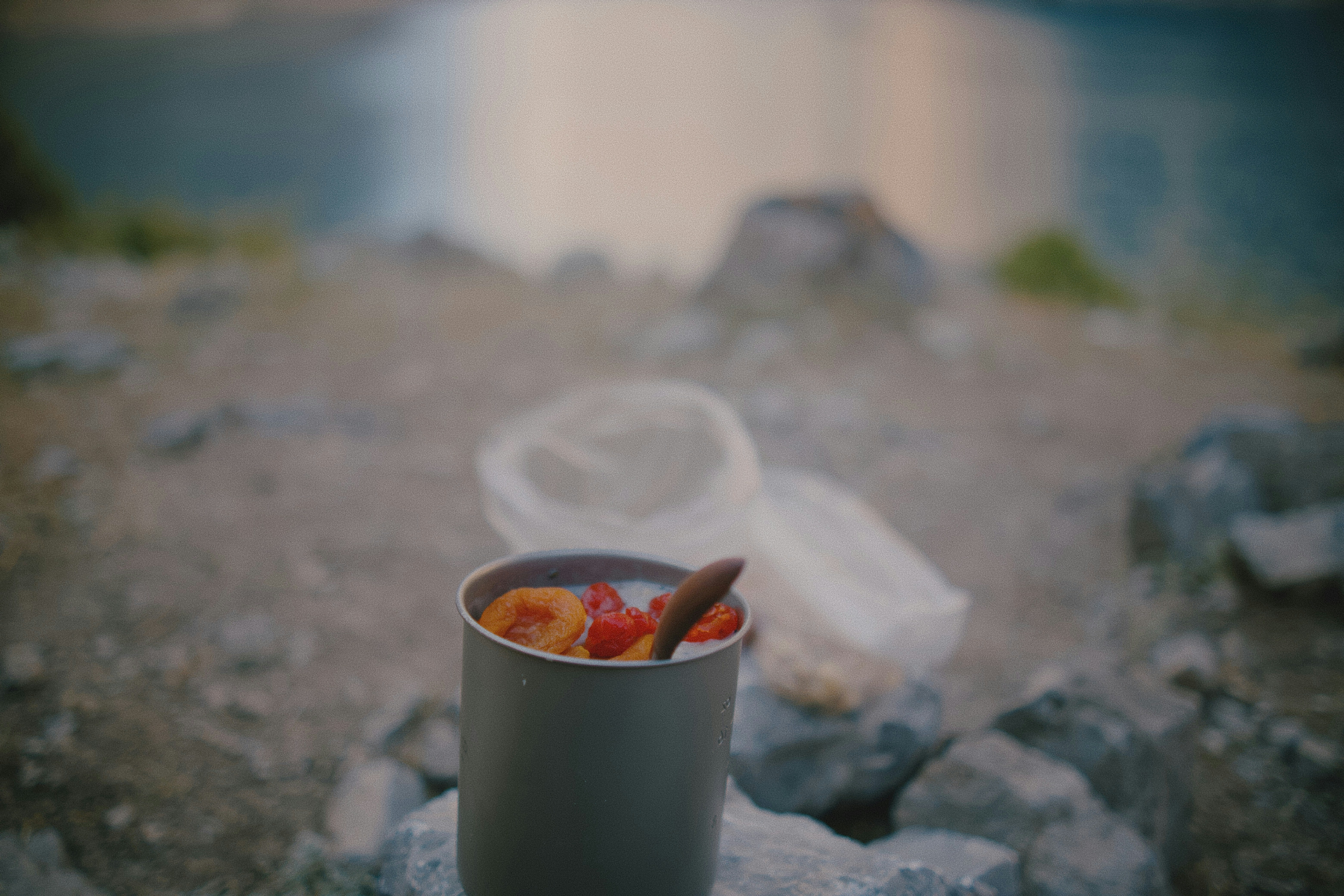 A Quiet Cup of Color on a Shifting Shore