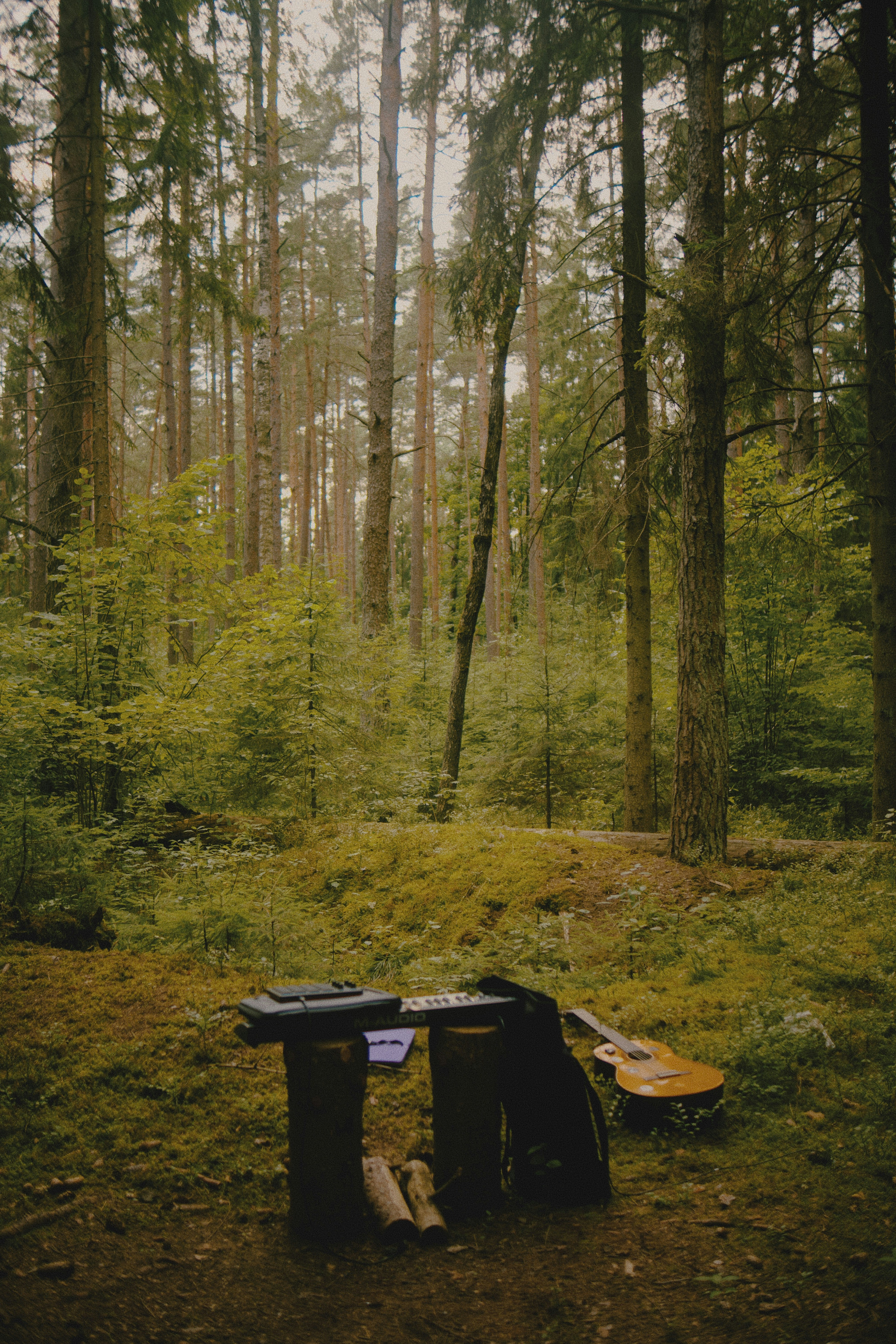 Forest Studio: Acoustic Guitars and a Wooden Stool in Dappled Light