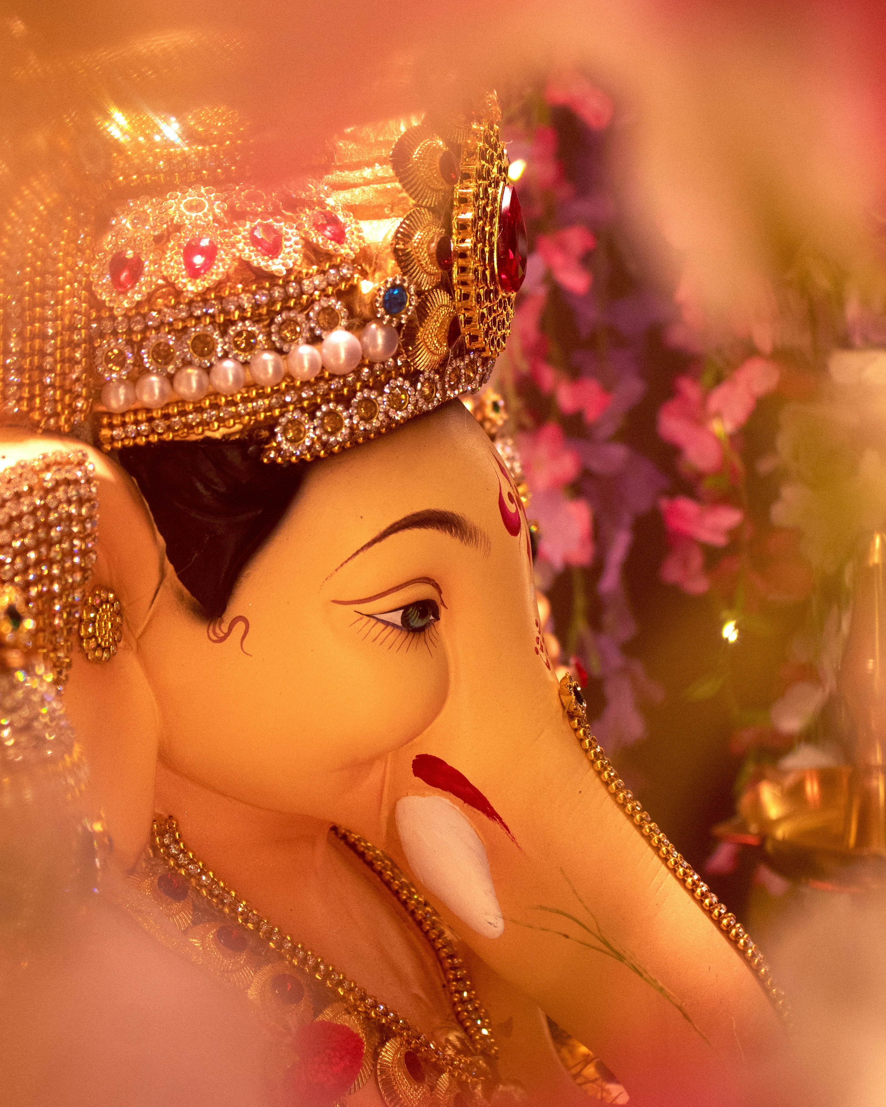 Ornate Gaze: A Golden Elephant in Soft Focus
