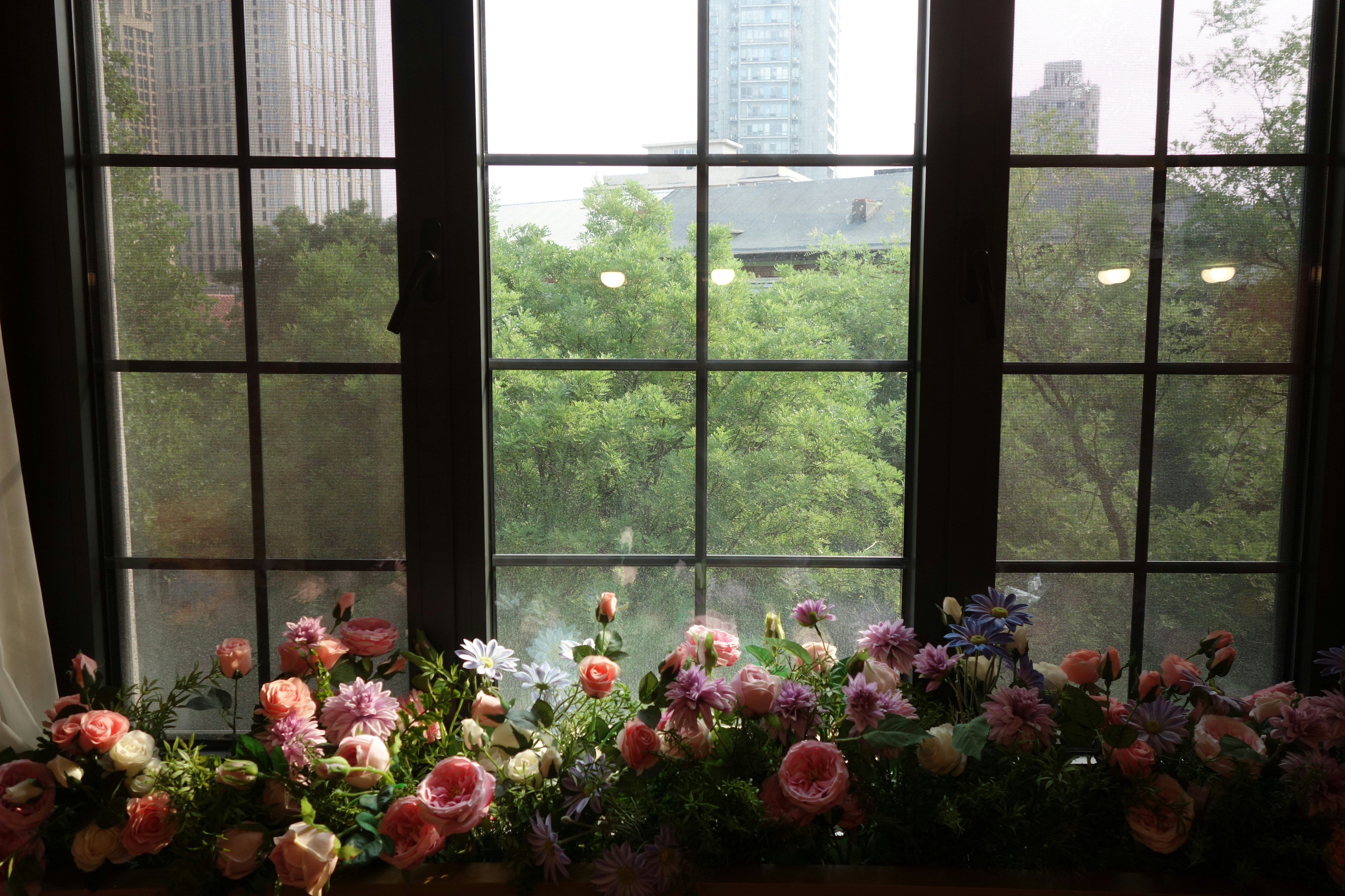 Photo by MChe Lee with Sony RX100