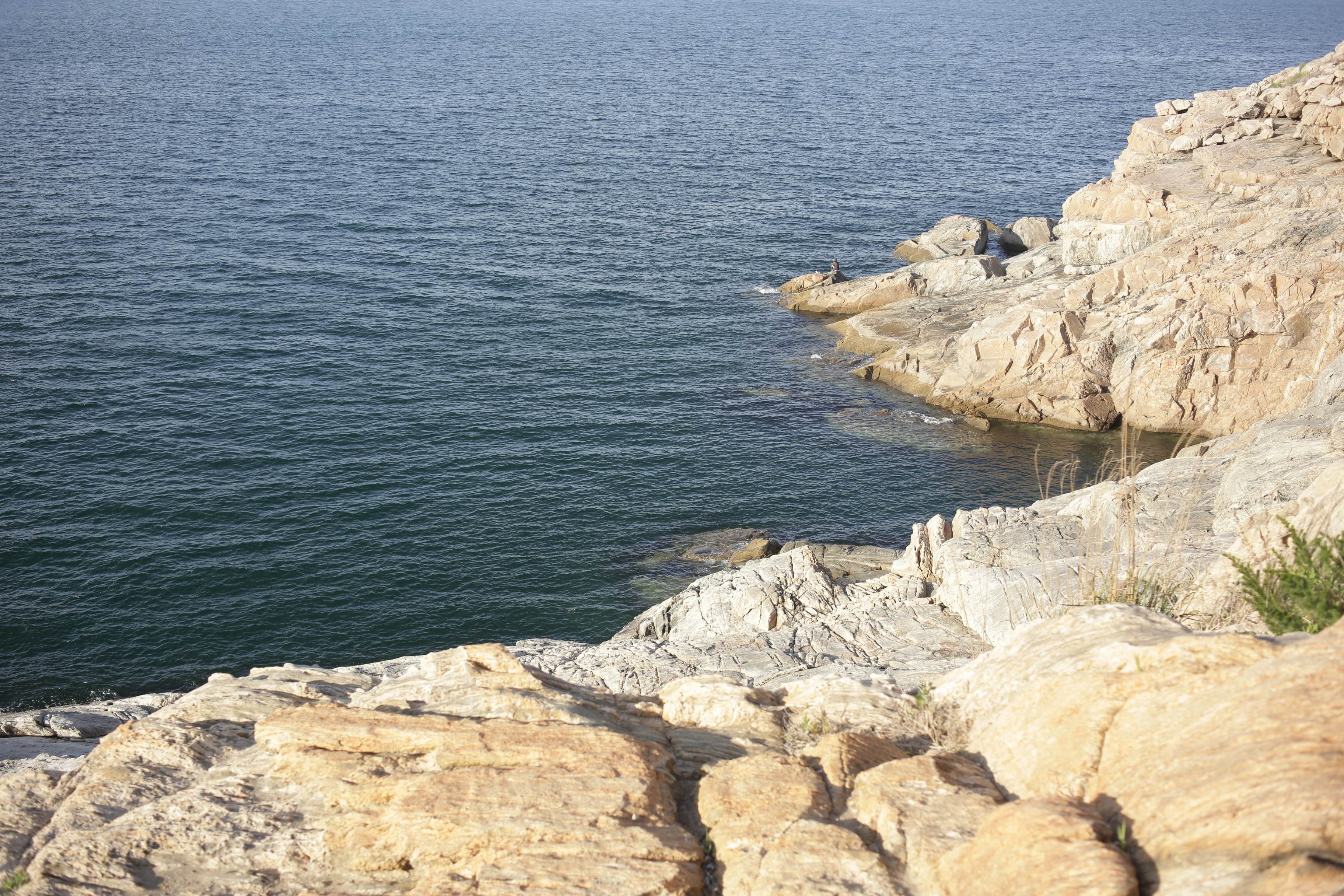 Rugged shoreline at rest: sunlit rocks meet calm sea