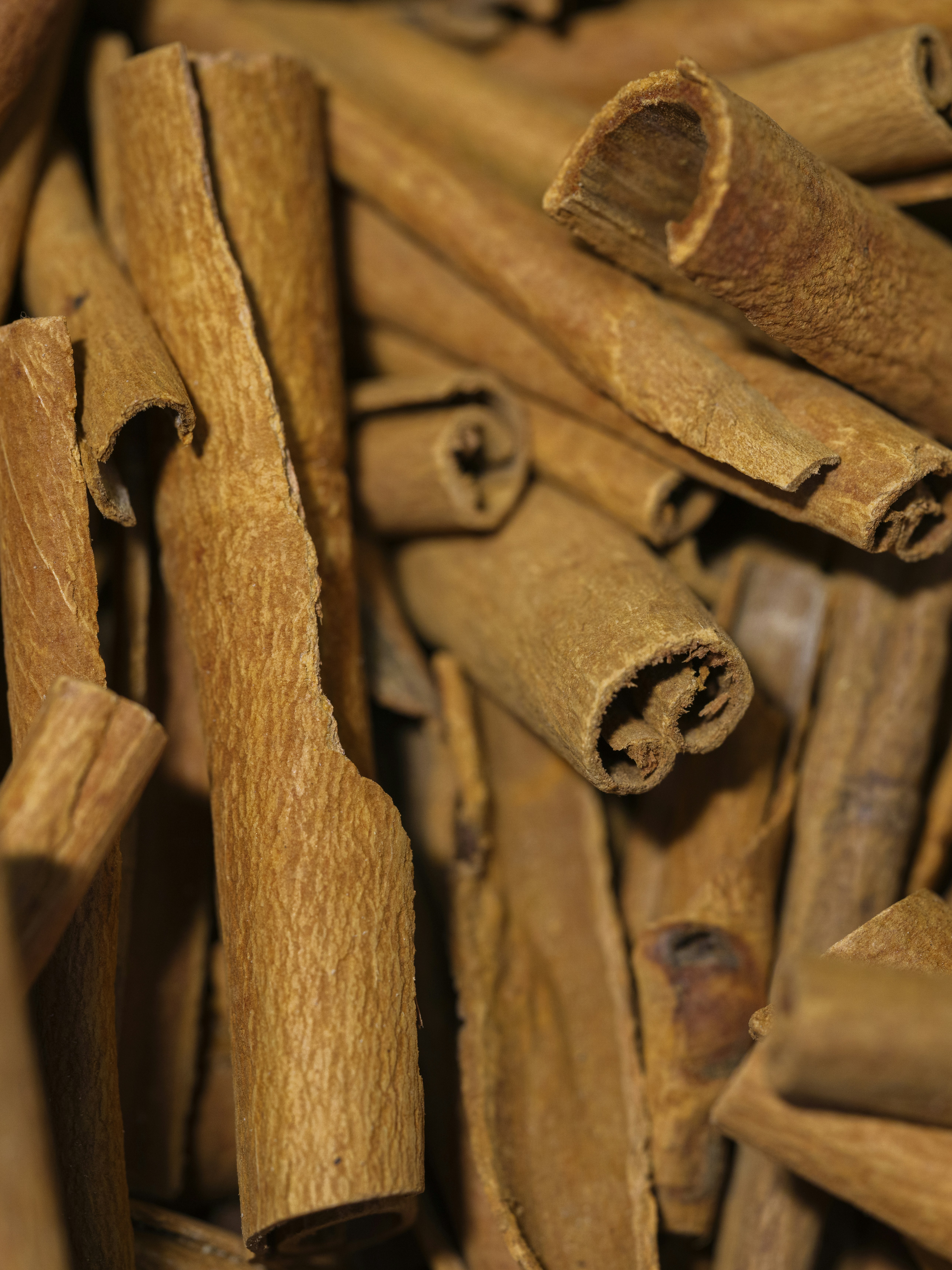 Cinnamon Portrait: Close-Up Threads of Spice