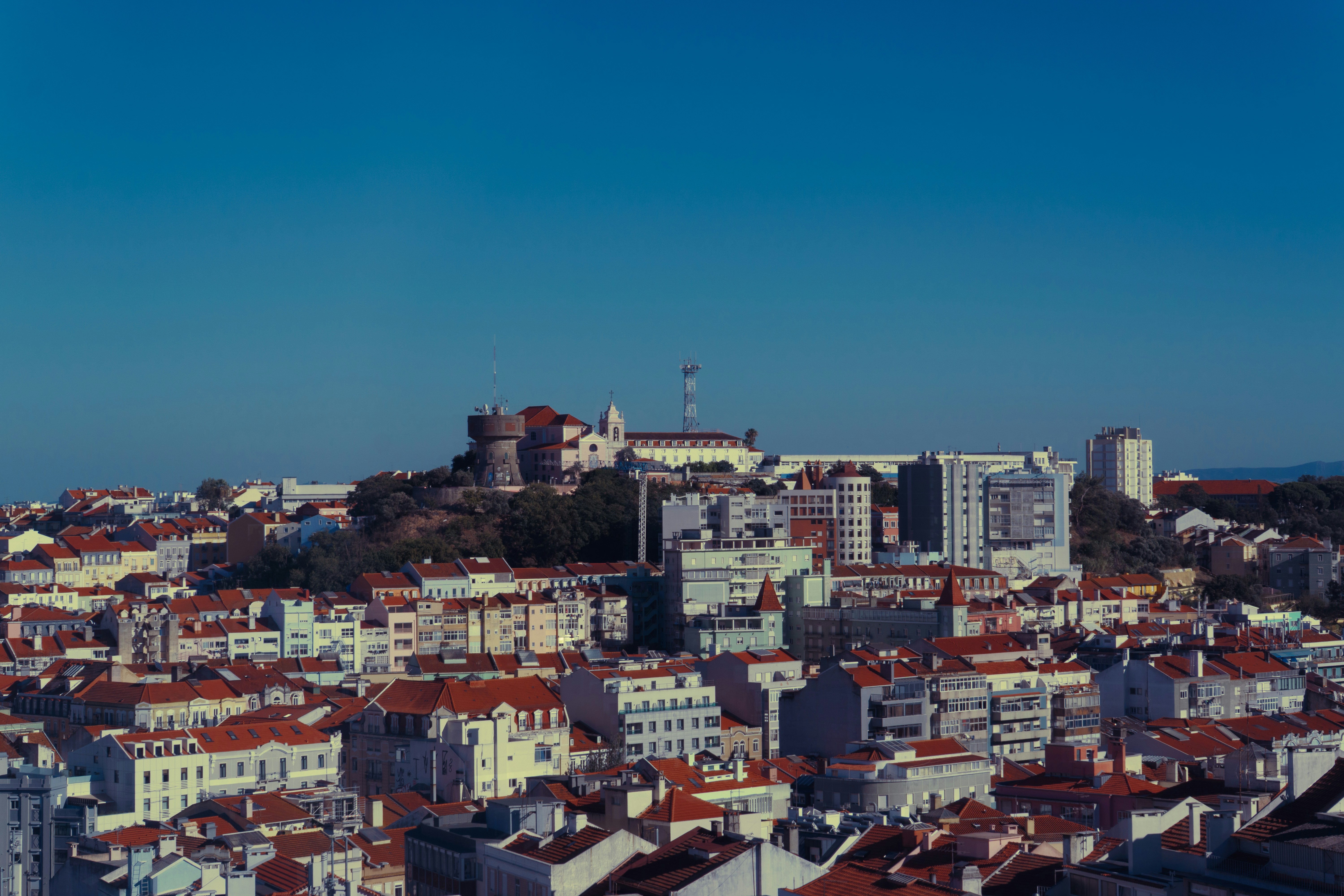 City Ridge: A Crest of Red Rooftops Beneath a Clear Sky
