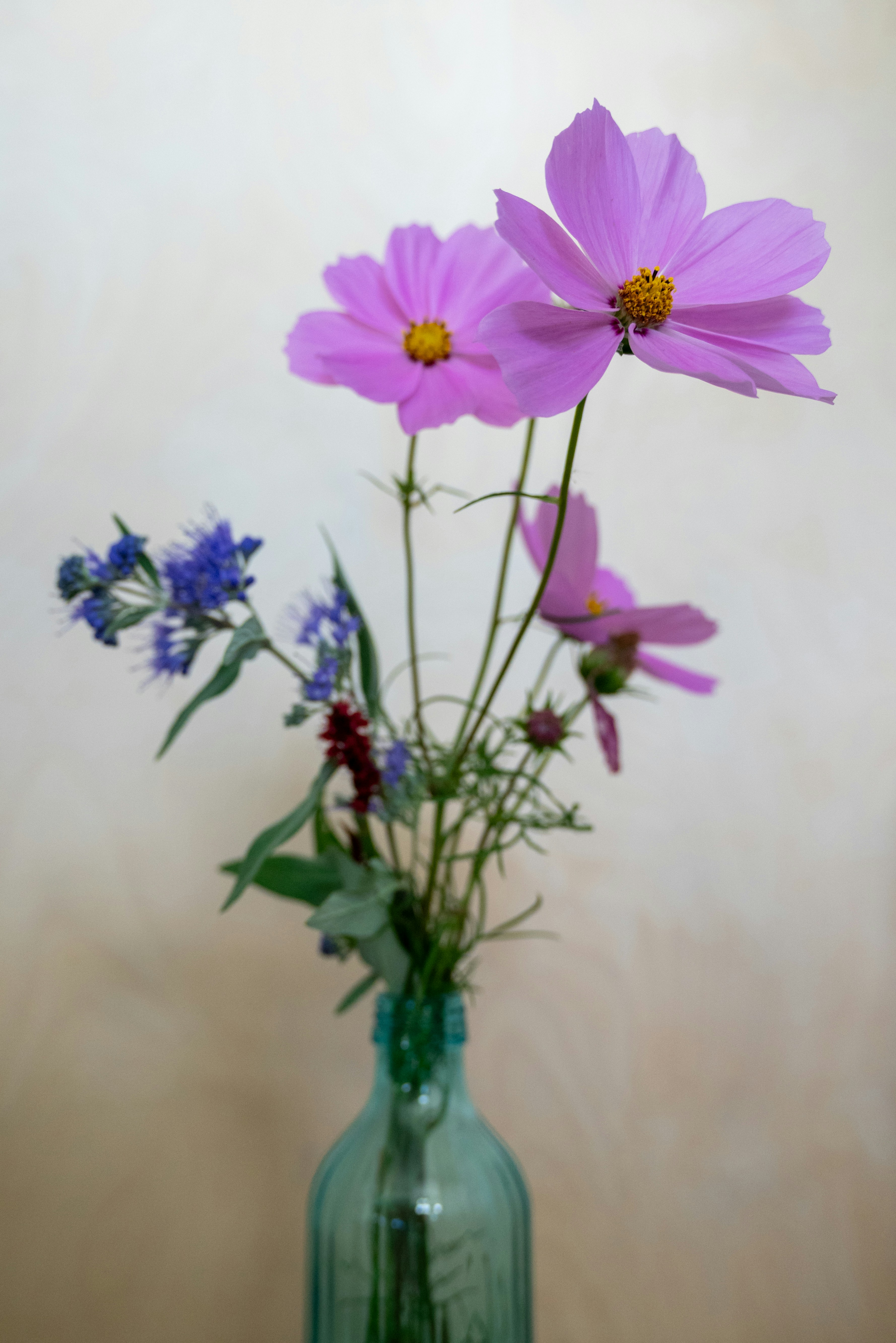 Purple Cosmos in a Green Glass Vase with Wildflowers