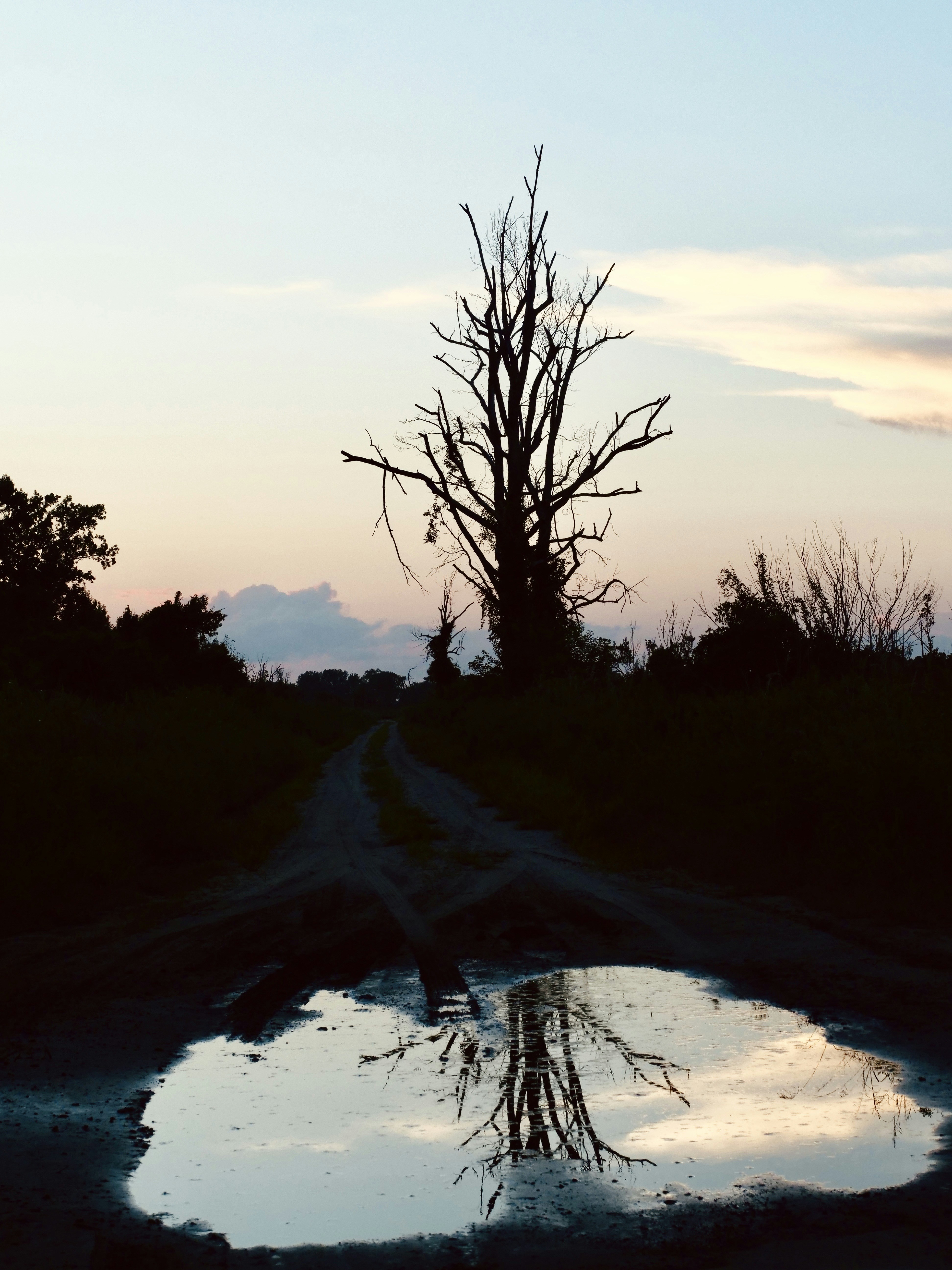 A puddle after the rain