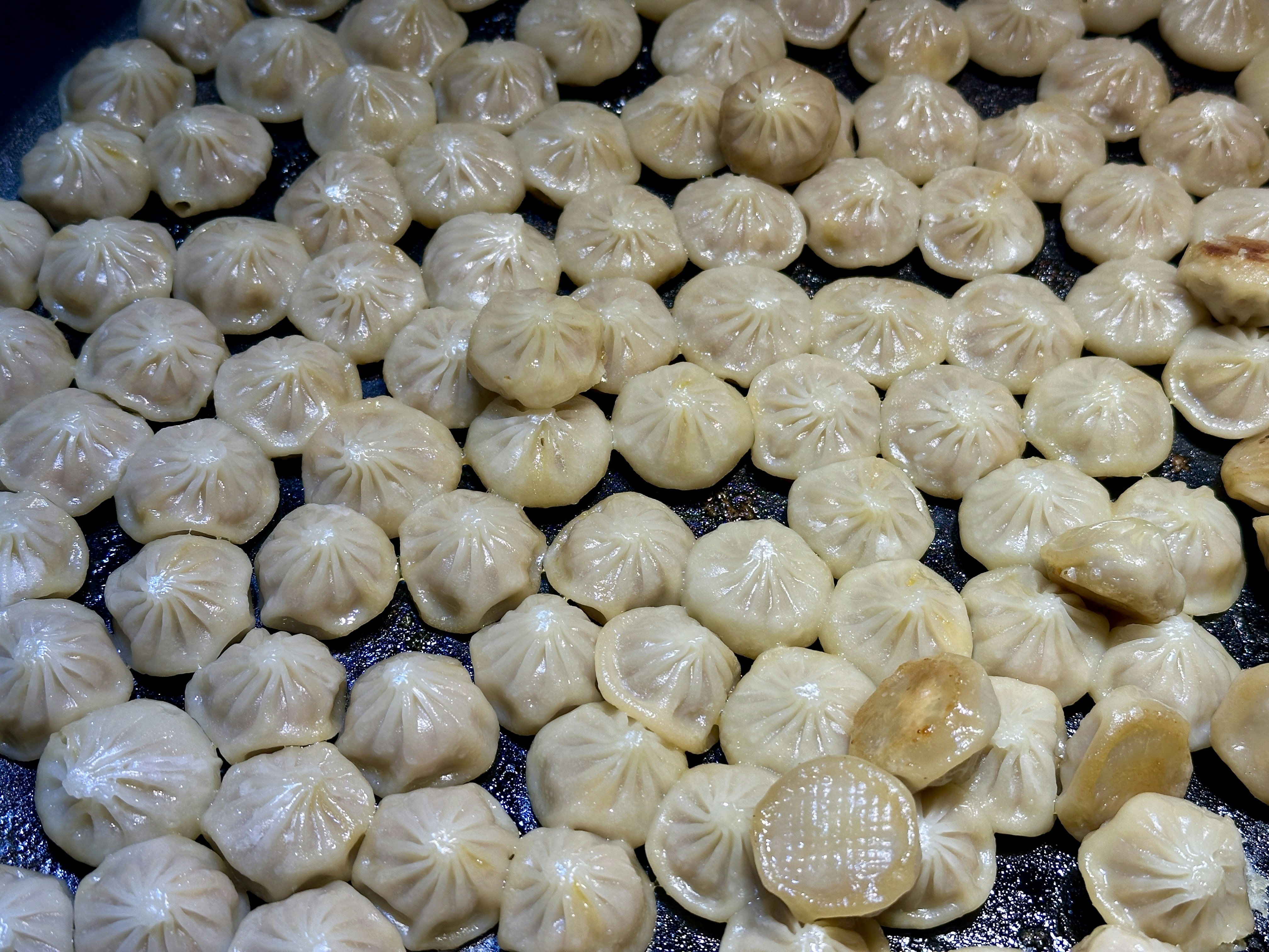 Sunlit Quesillo-like Dumplings Piled in a Griddle
