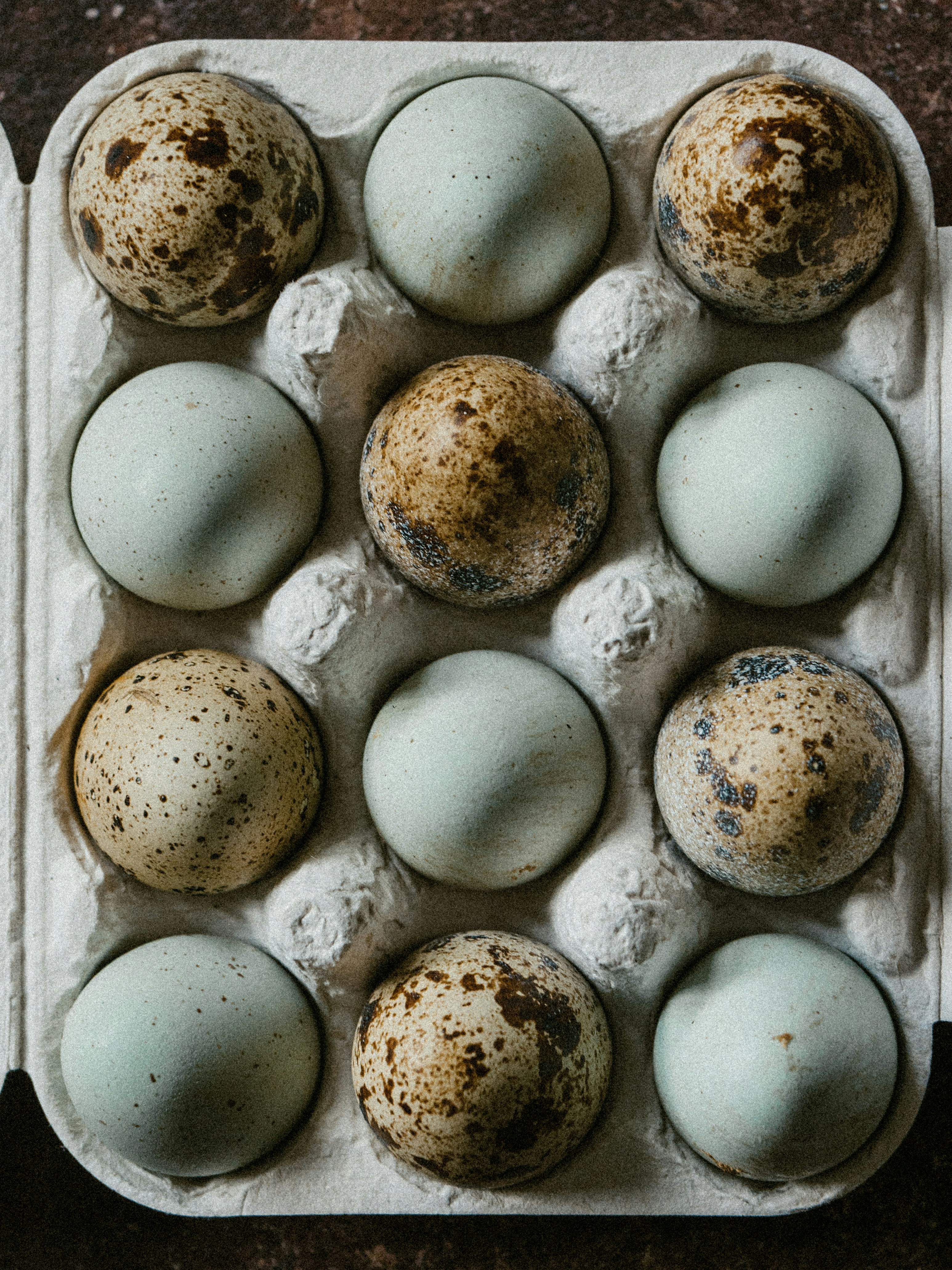 Speckled Eggs in a Rustic Carton: Quiet Symmetry of Nature