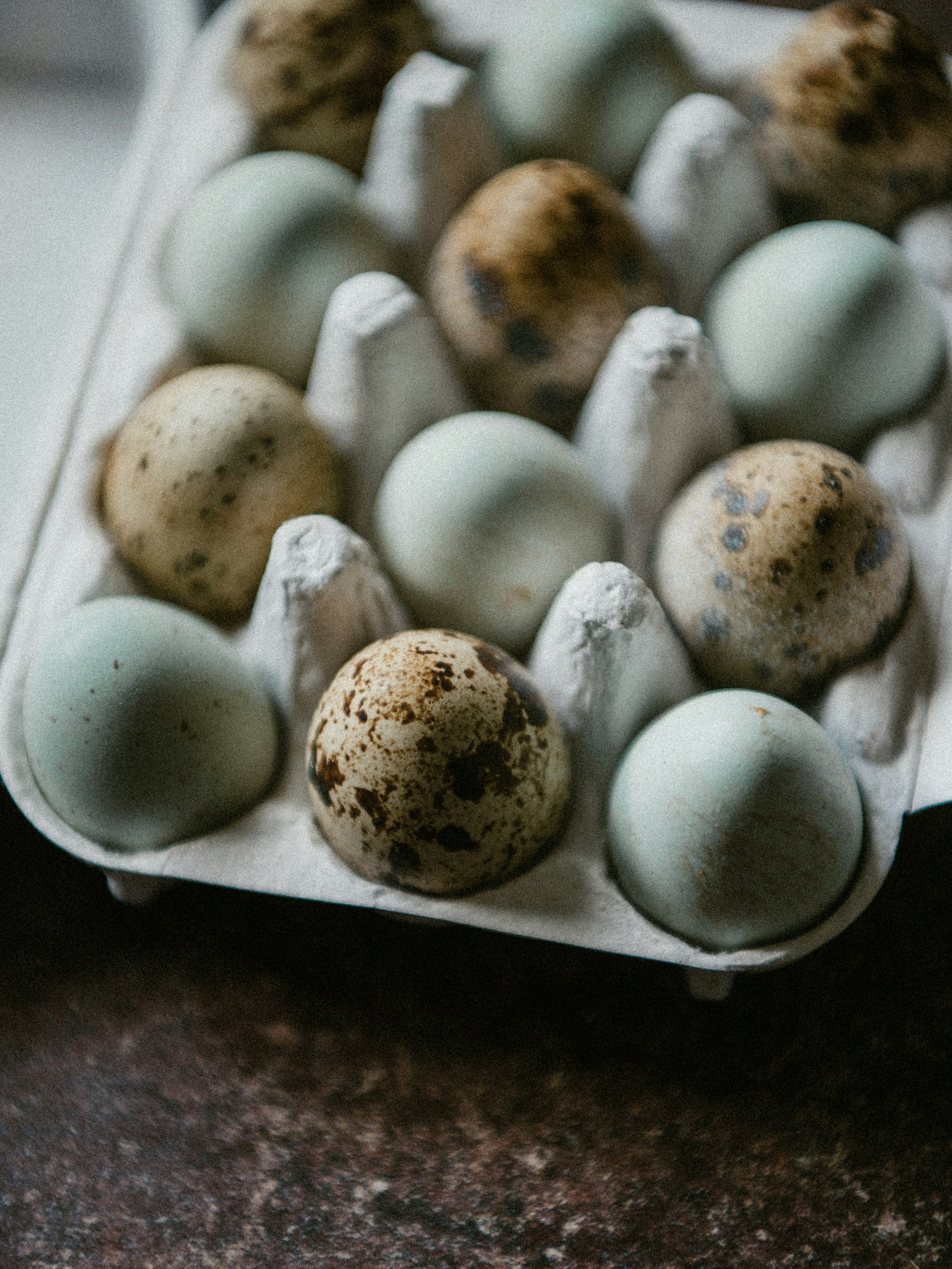 Speckled Eggs in a Shallow Tray: Quiet Morning Palette