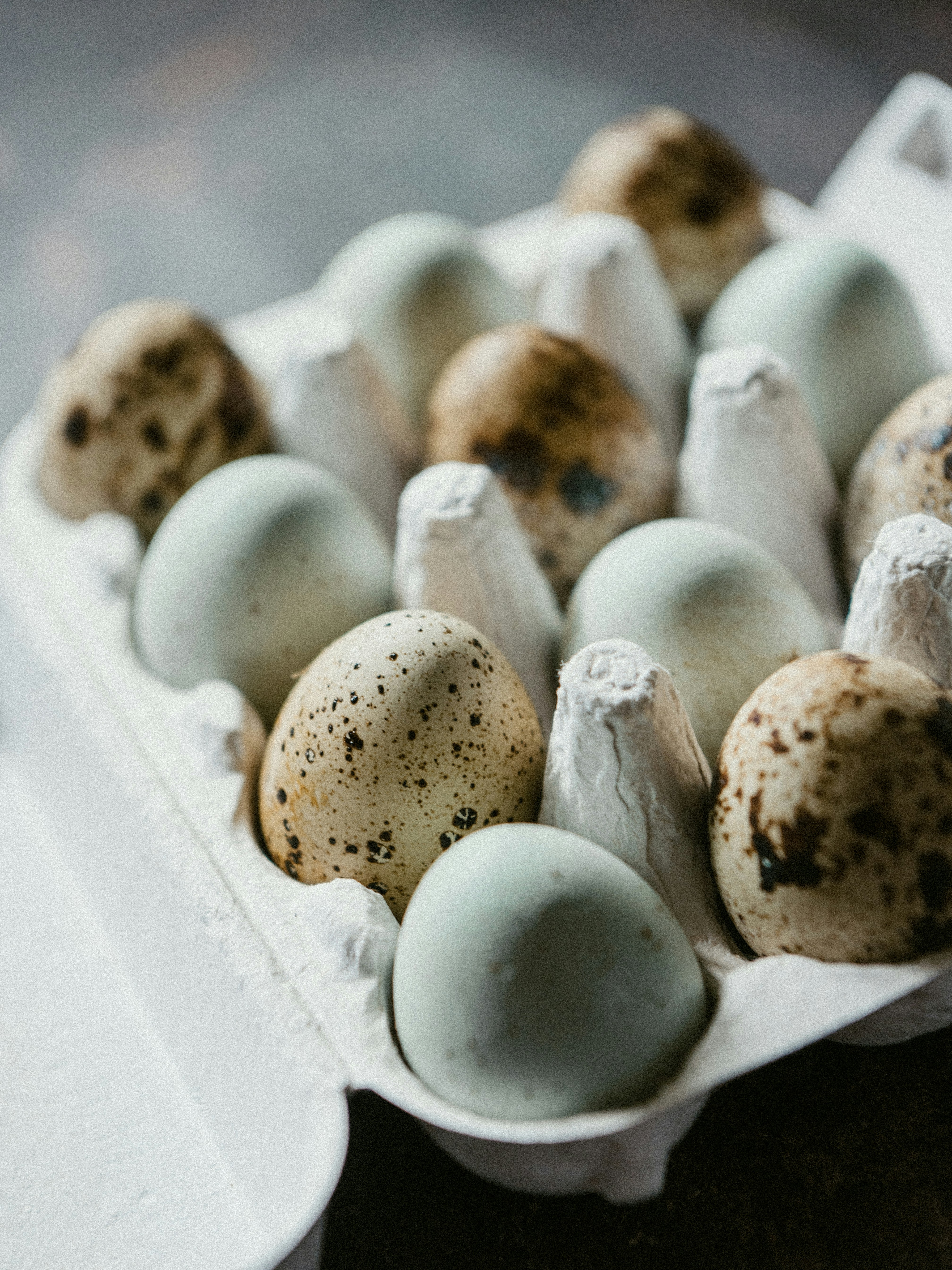 Speckled Eggs in a Muted Egg Carton: Quiet Morning Palette