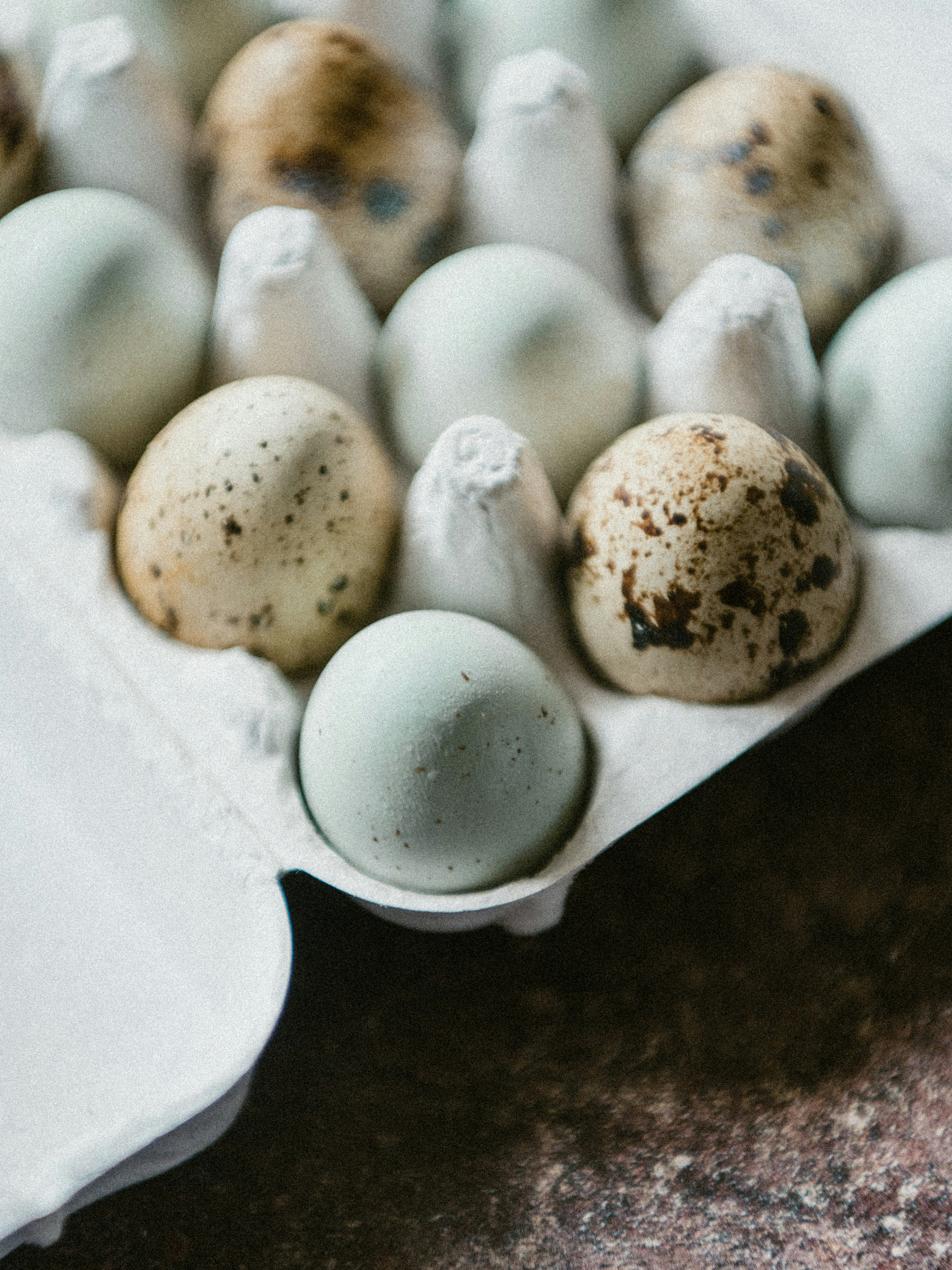 Eggs in a carton: a quiet study in color and speckled textures