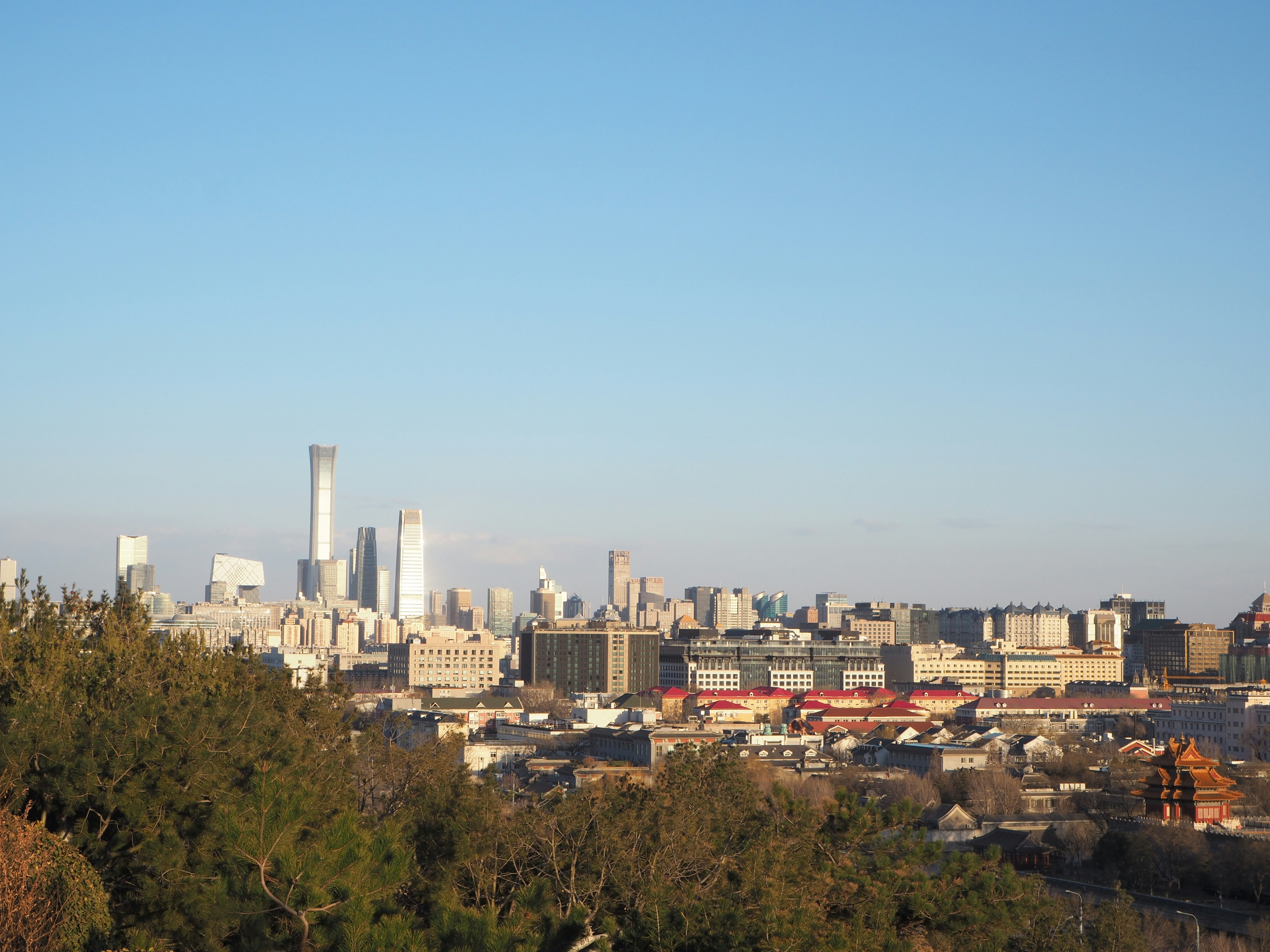Urban Horizon: distant skyline rising above a tree-lined foreground