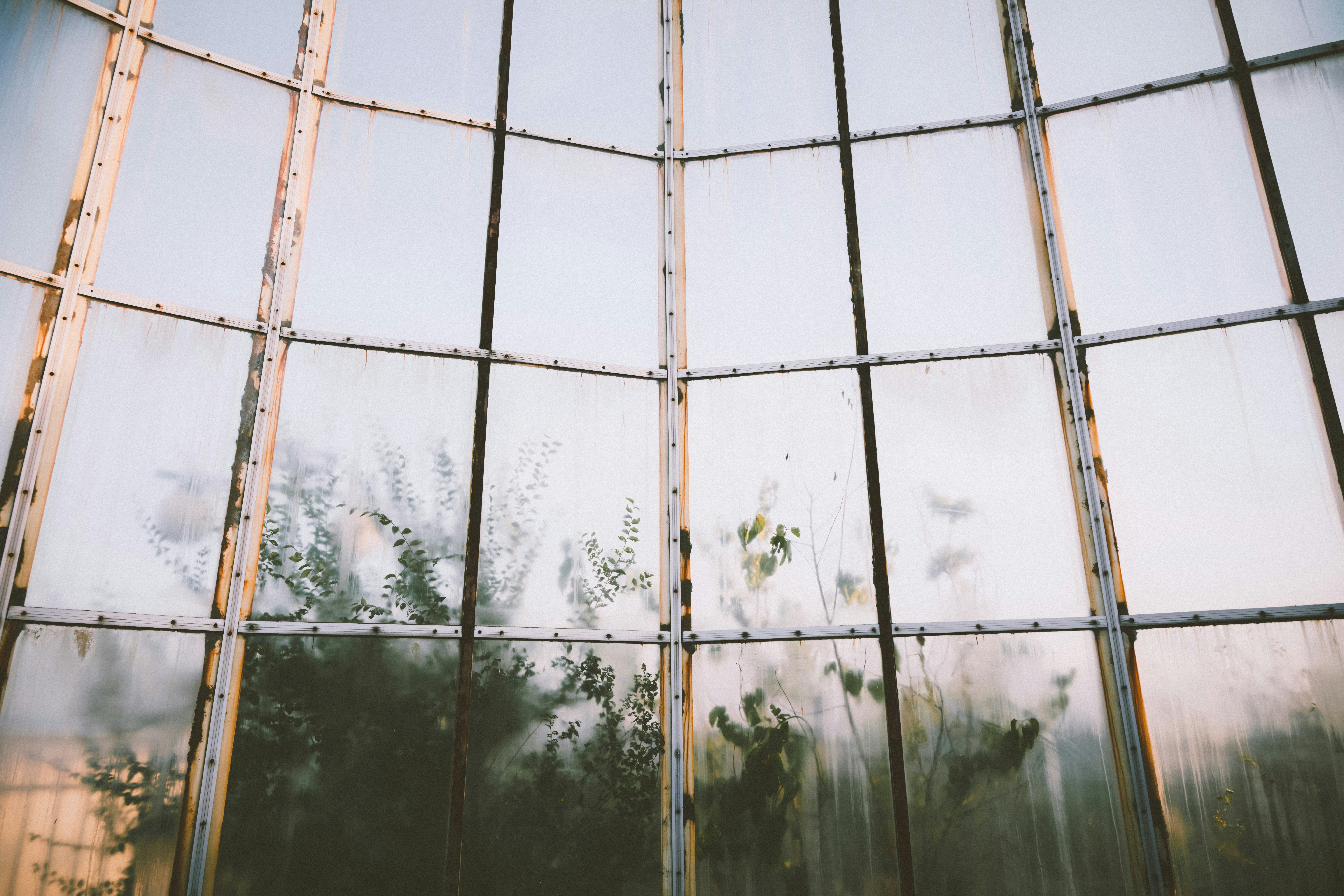 Curved Glass Facade with Subtle Green Reflections