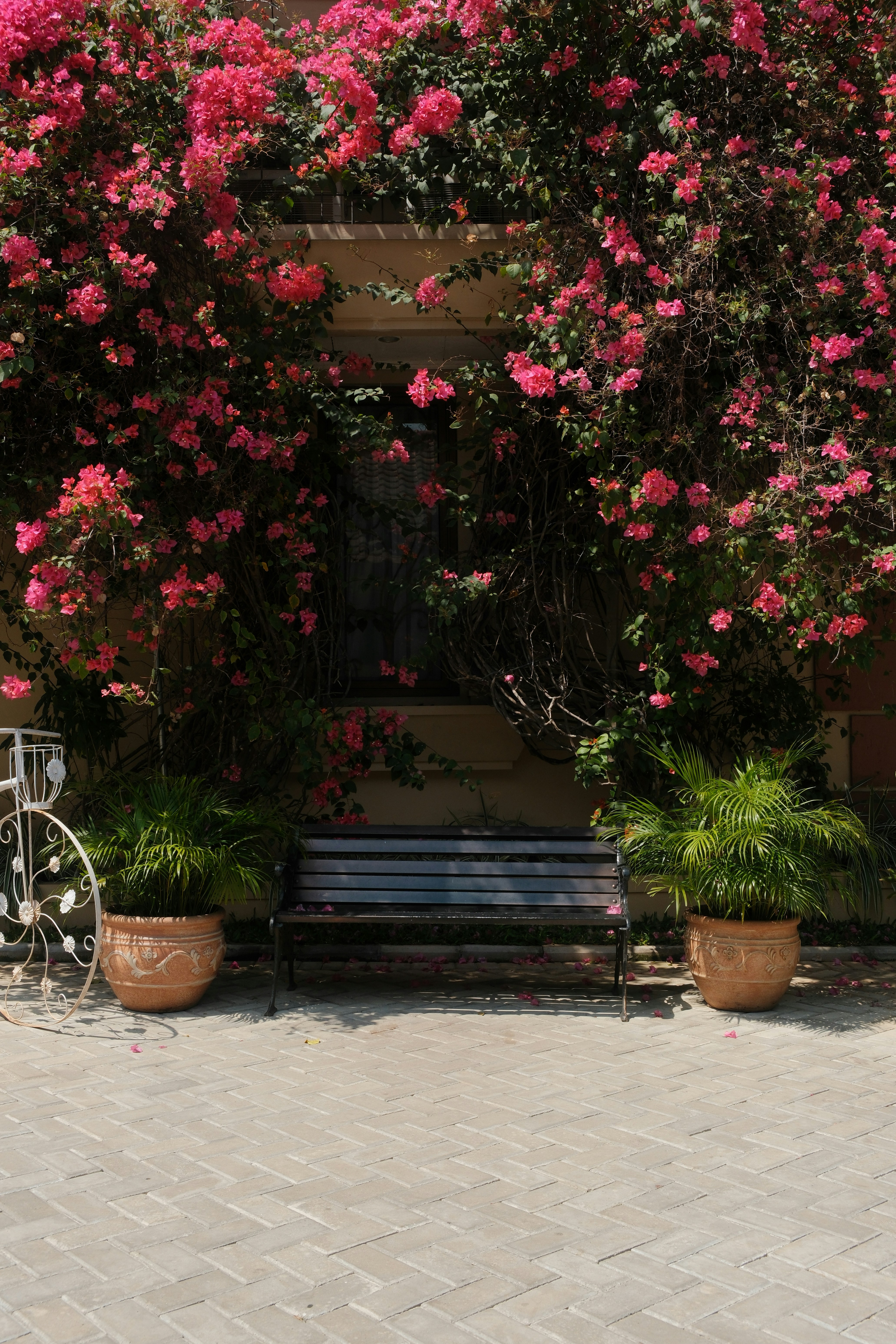 Crimson bougainvillea drapes an arched facade, framing a dark bench beneath a shaded doorway and flanked by potted plants on a sunlit patio.