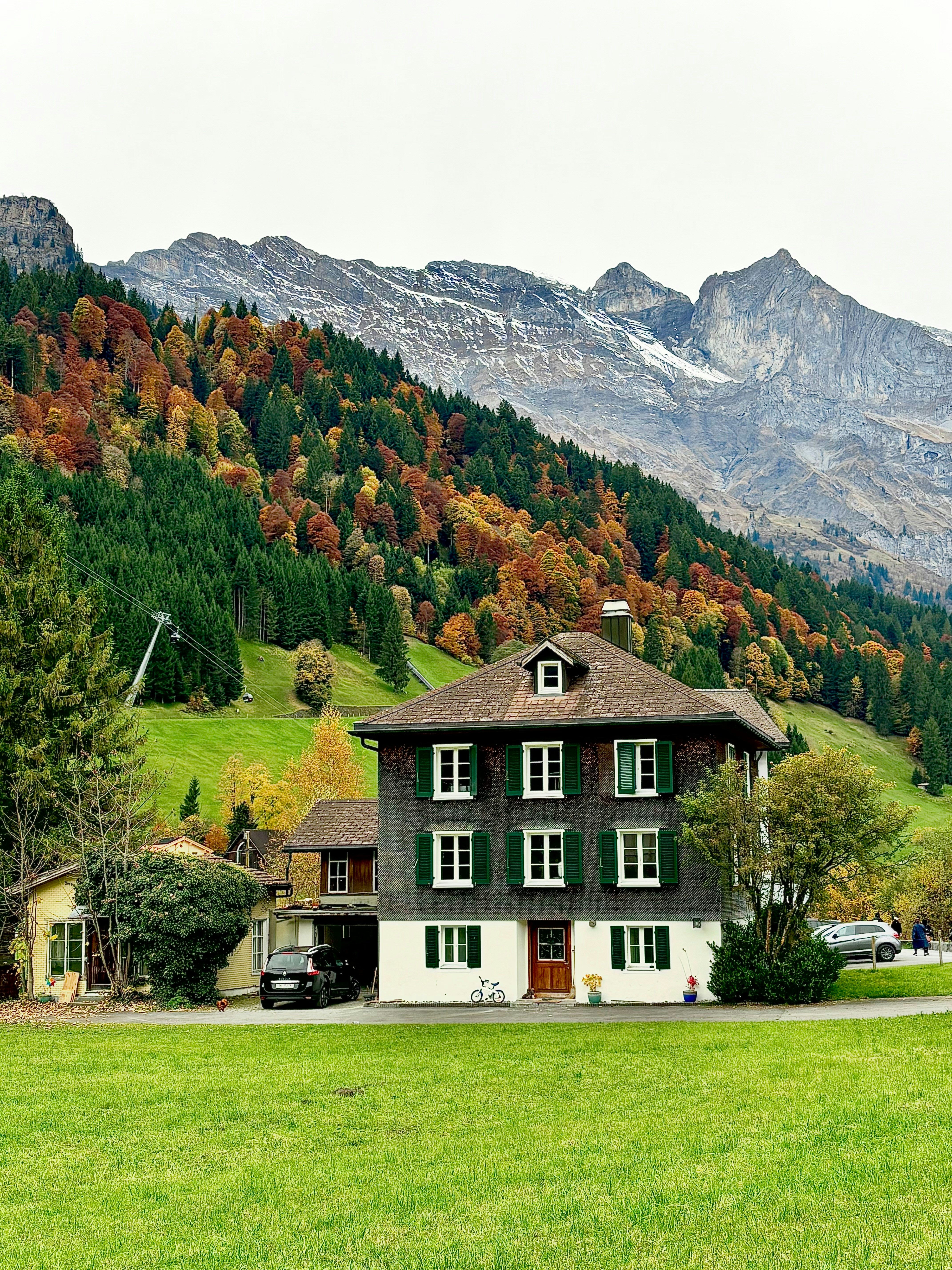Charming Alpine House Framed by Autumn Pines