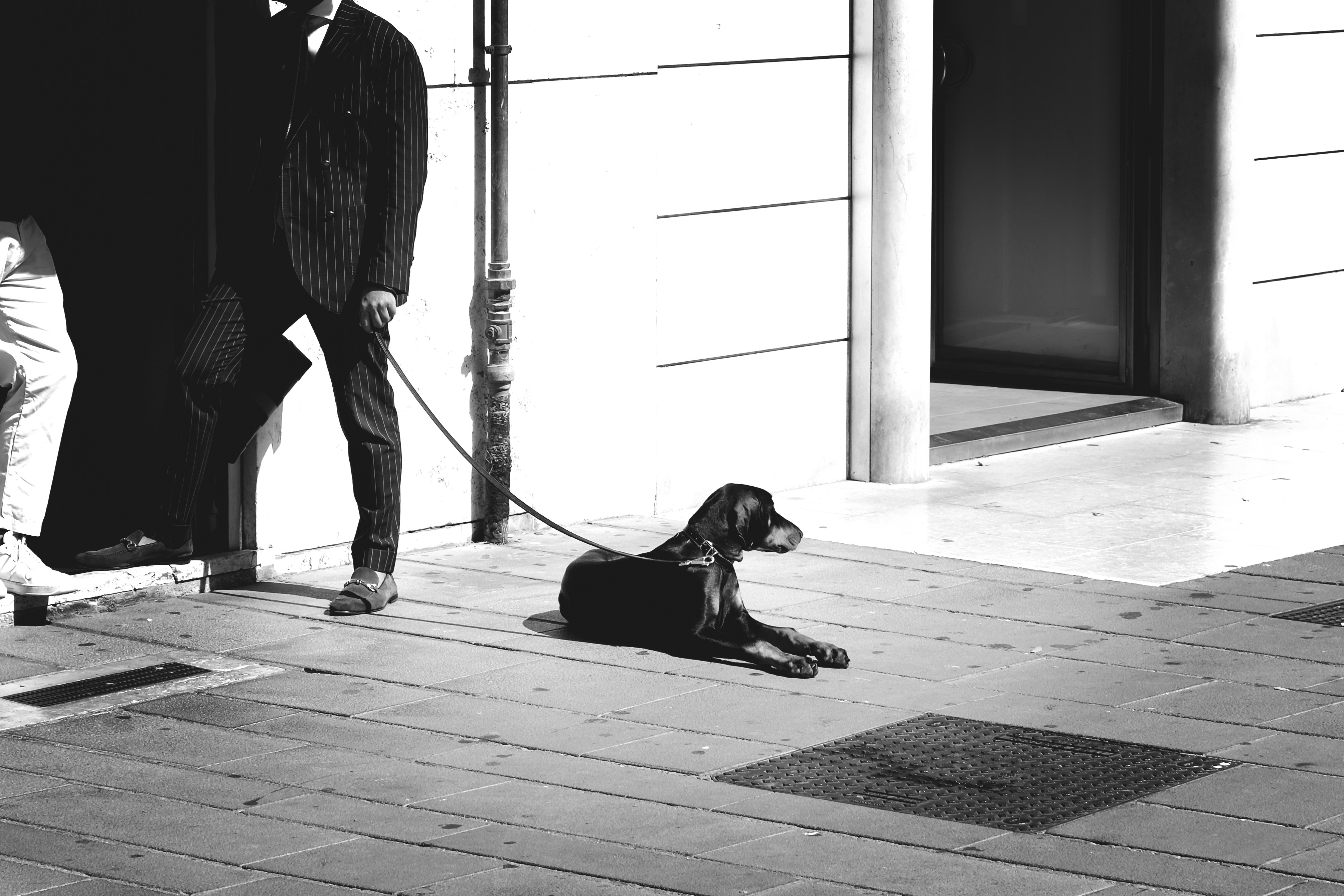 A dog rests on a sunlit urban sidewalk beside a man; the scene is captured in monochrome, highlighting stark shadows and architectural textures.