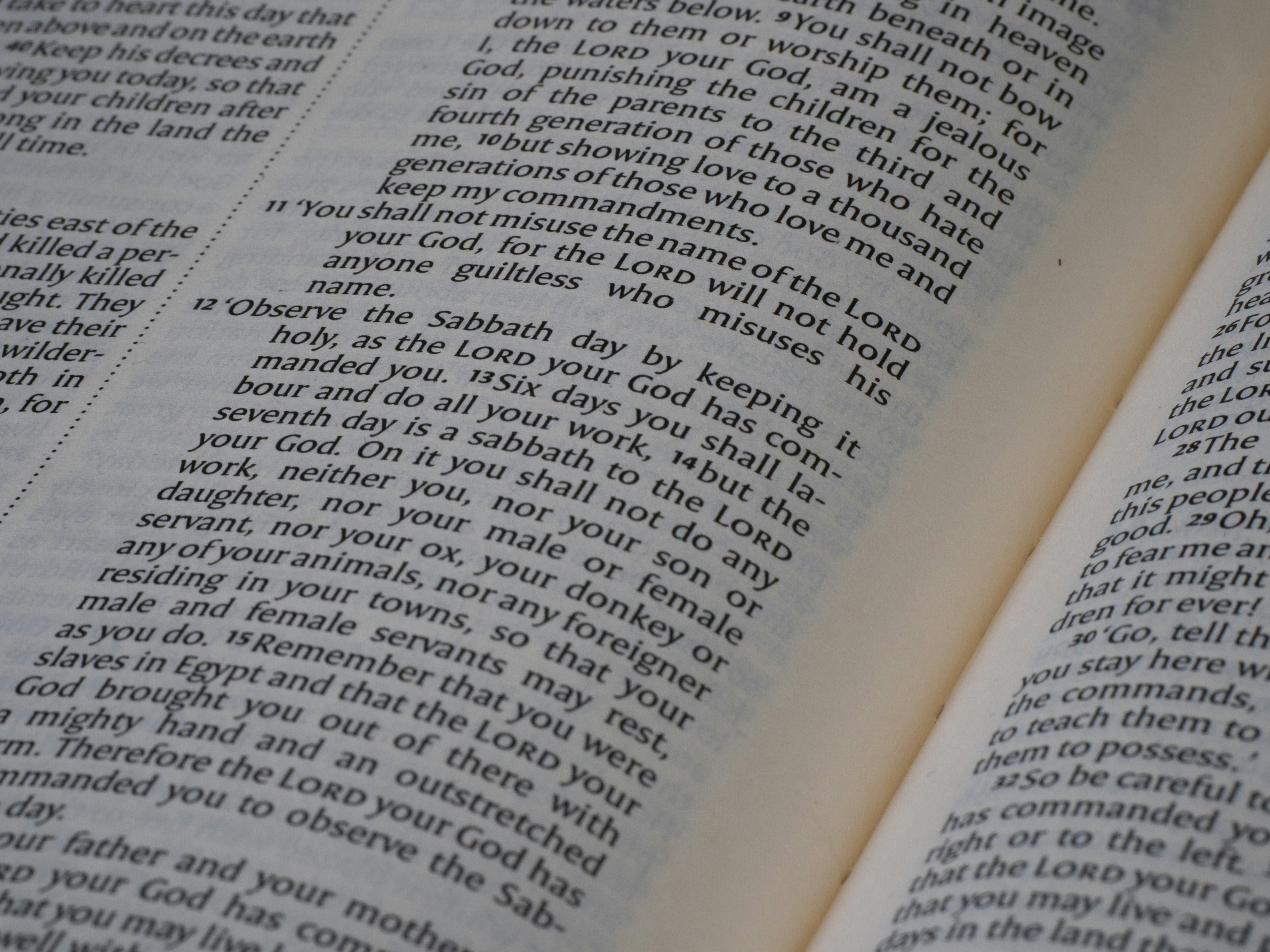 Ink and Margin: Close Reading on Weathered Paper