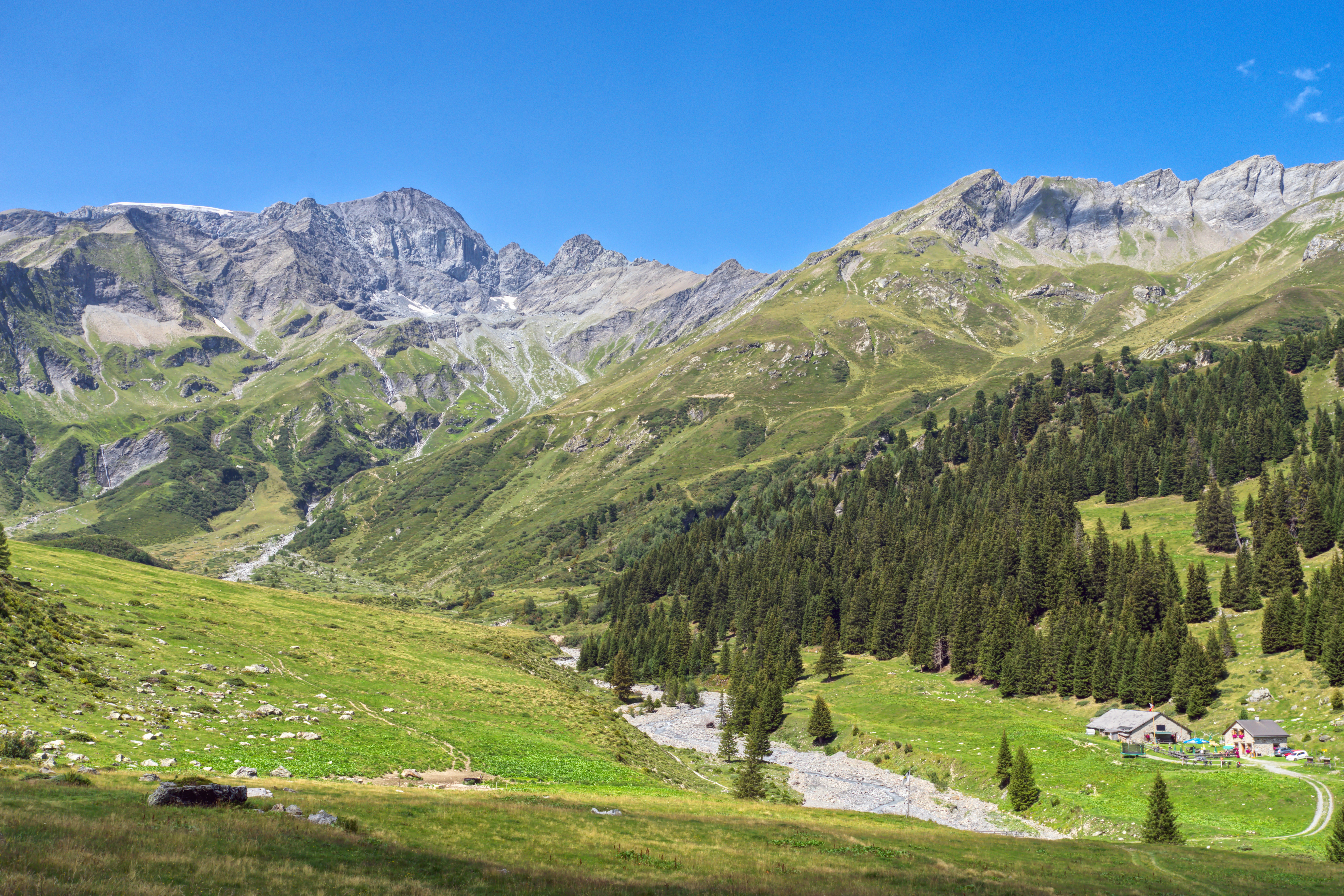 Sunlit Alps Meadow: A Quiet Valley Beneath Jagged Peaks