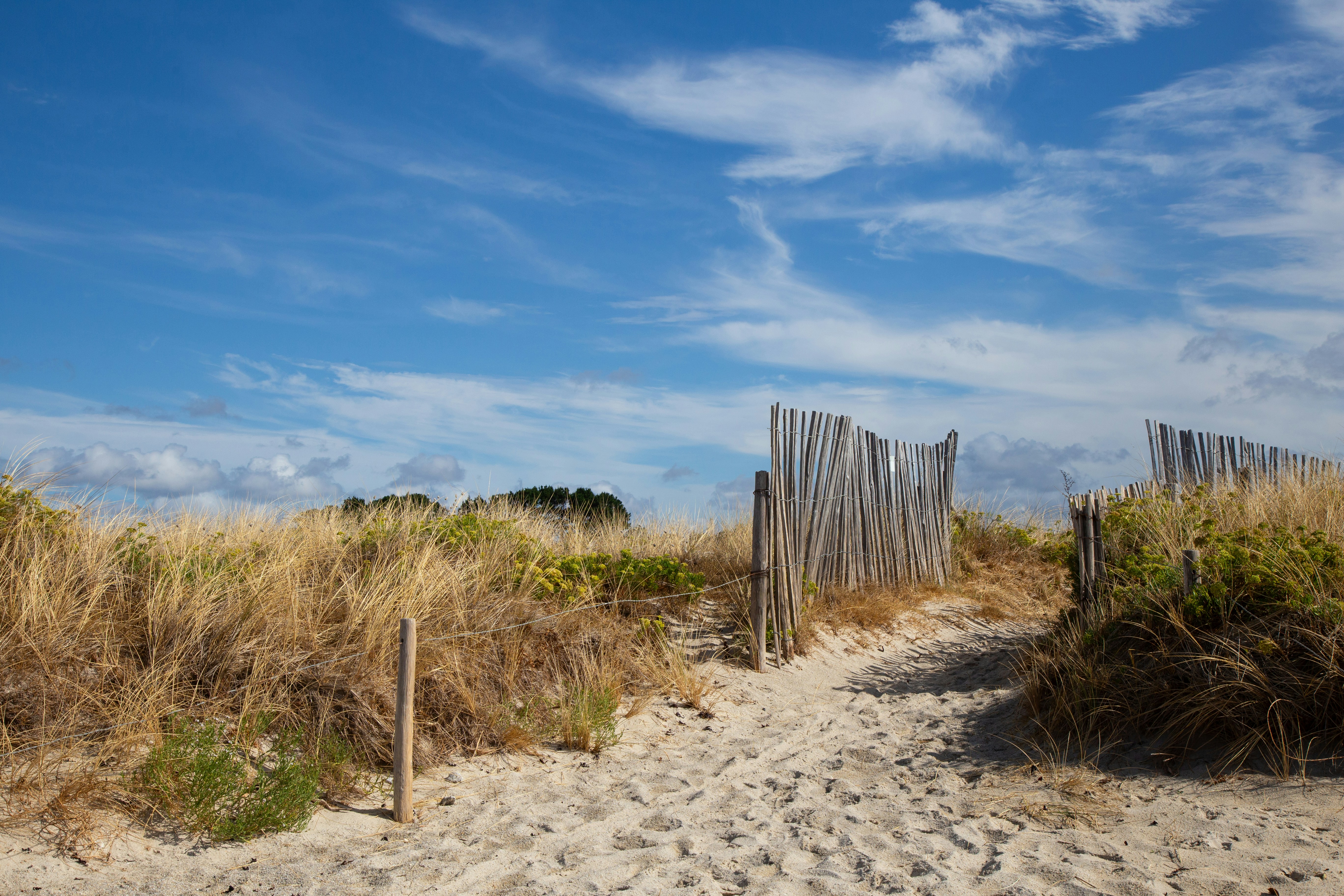 Path through dune grasses toward weathered fencing under a bright coastal sky