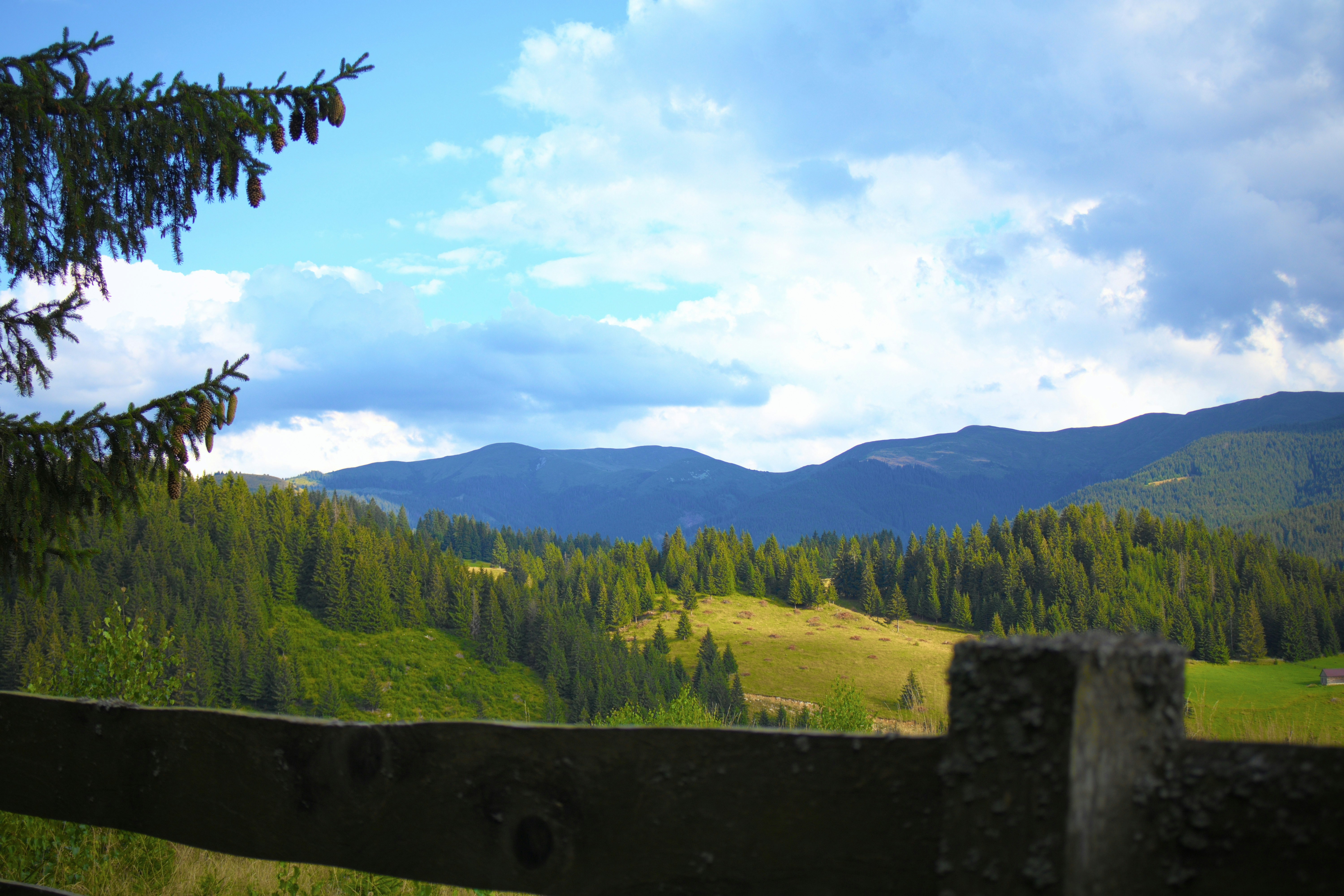 Sunlit Meadow and distant ridge beyond a weathered fence