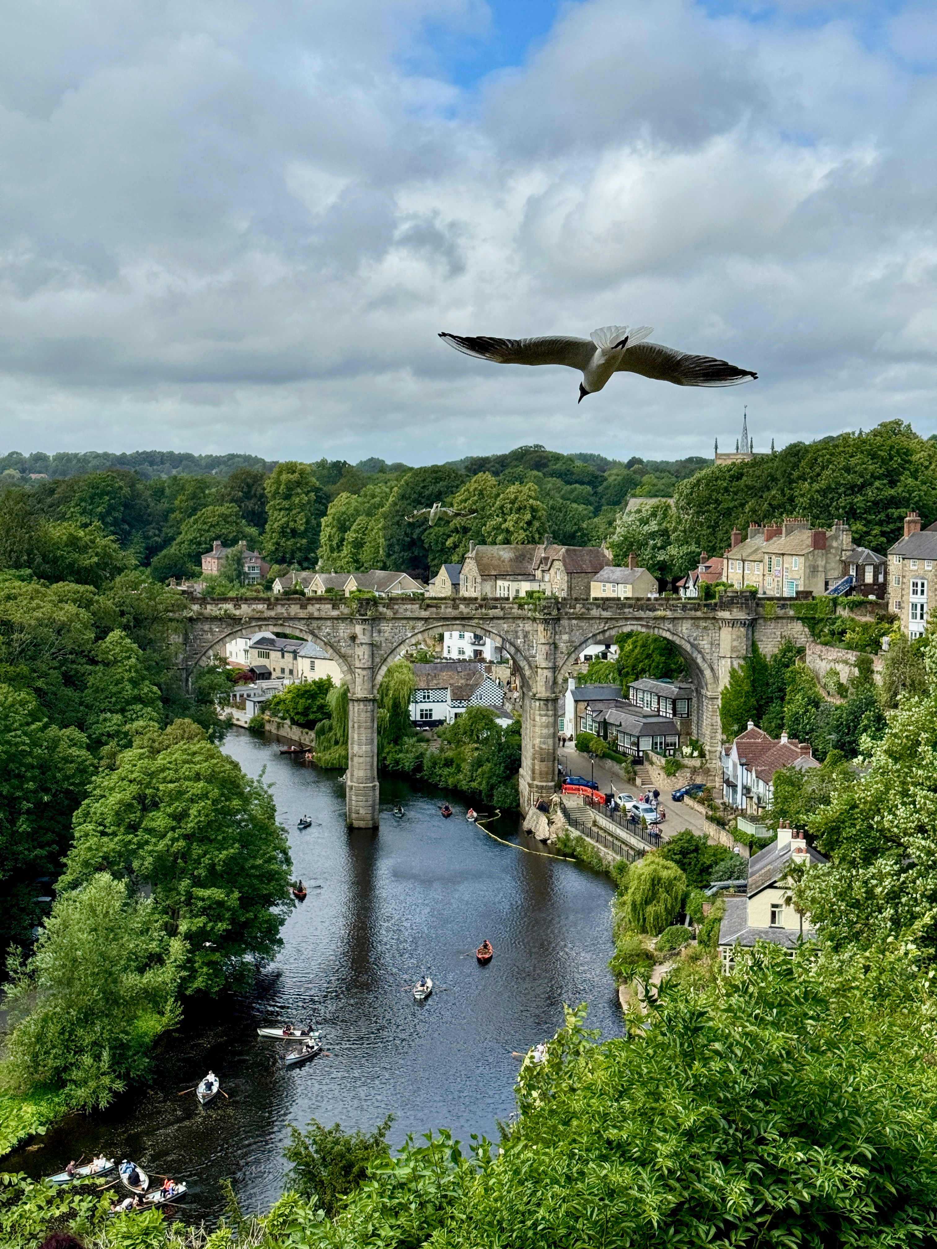 Bird soars above a historic stone aqueduct spanning a river through a verdant village.
