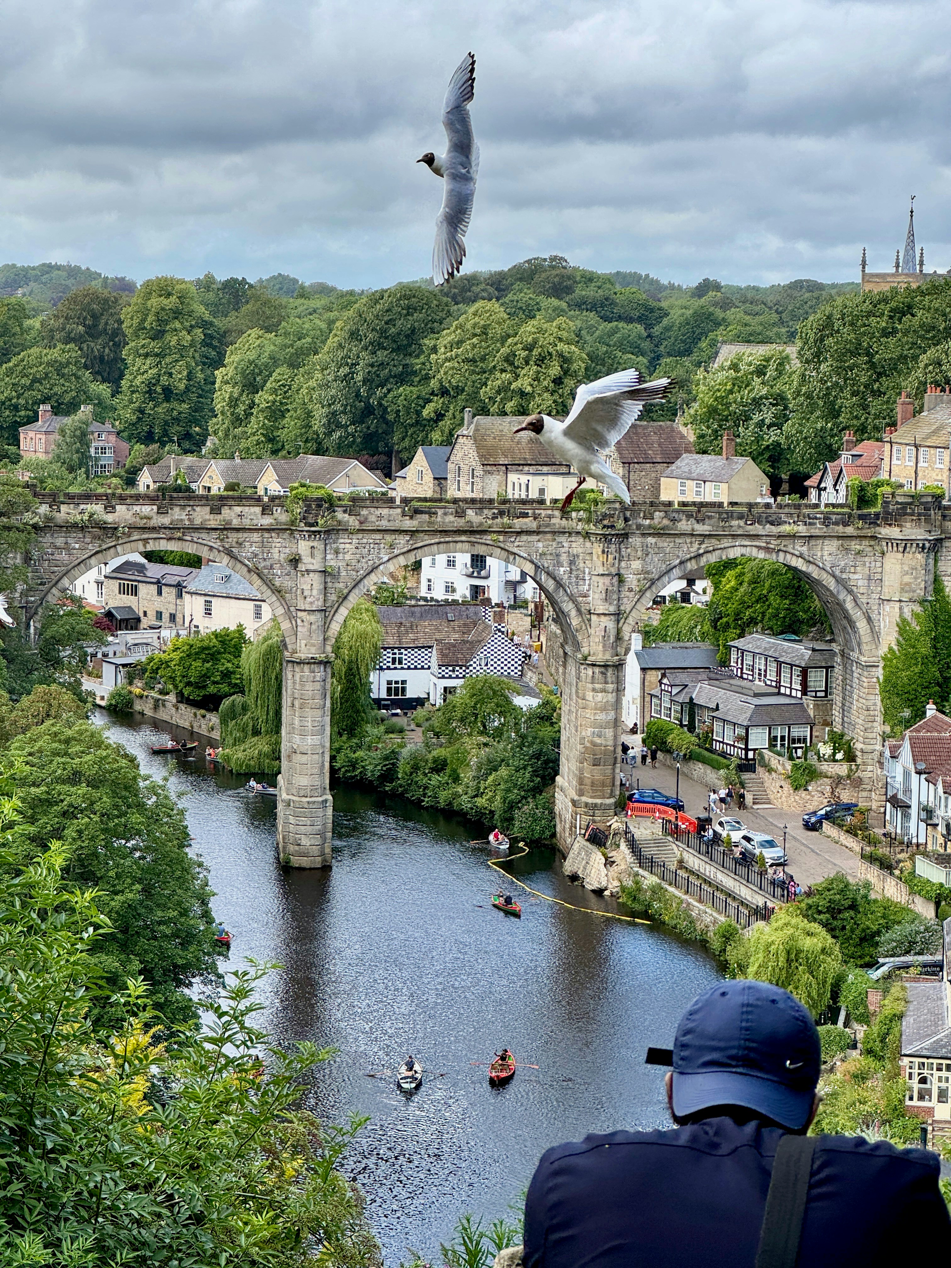 Seagulls Over the Arched Bridge: A Riverside Moment
