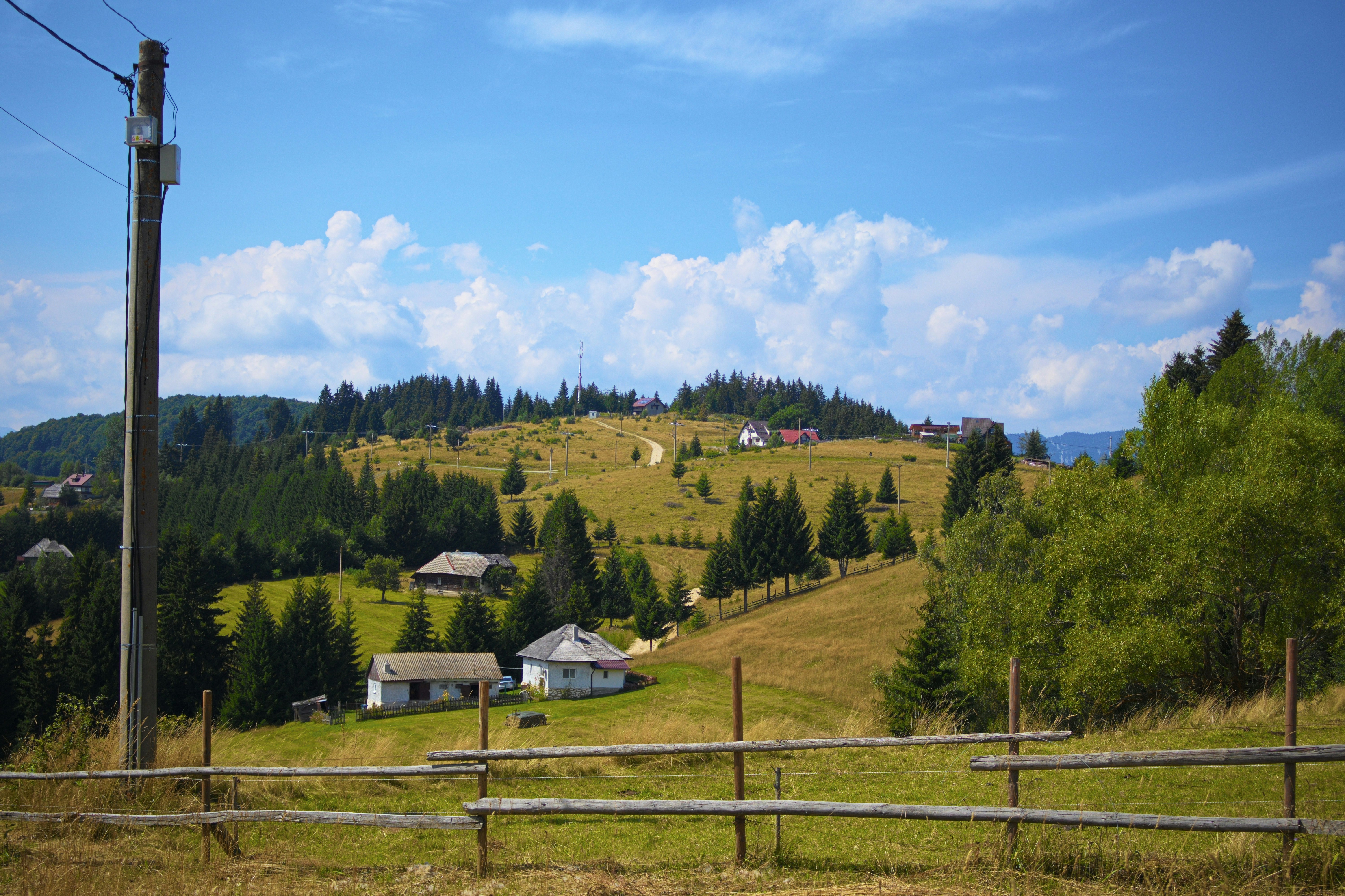 Pastoral Ridge: A Quiet Village Amid Rolling Hills